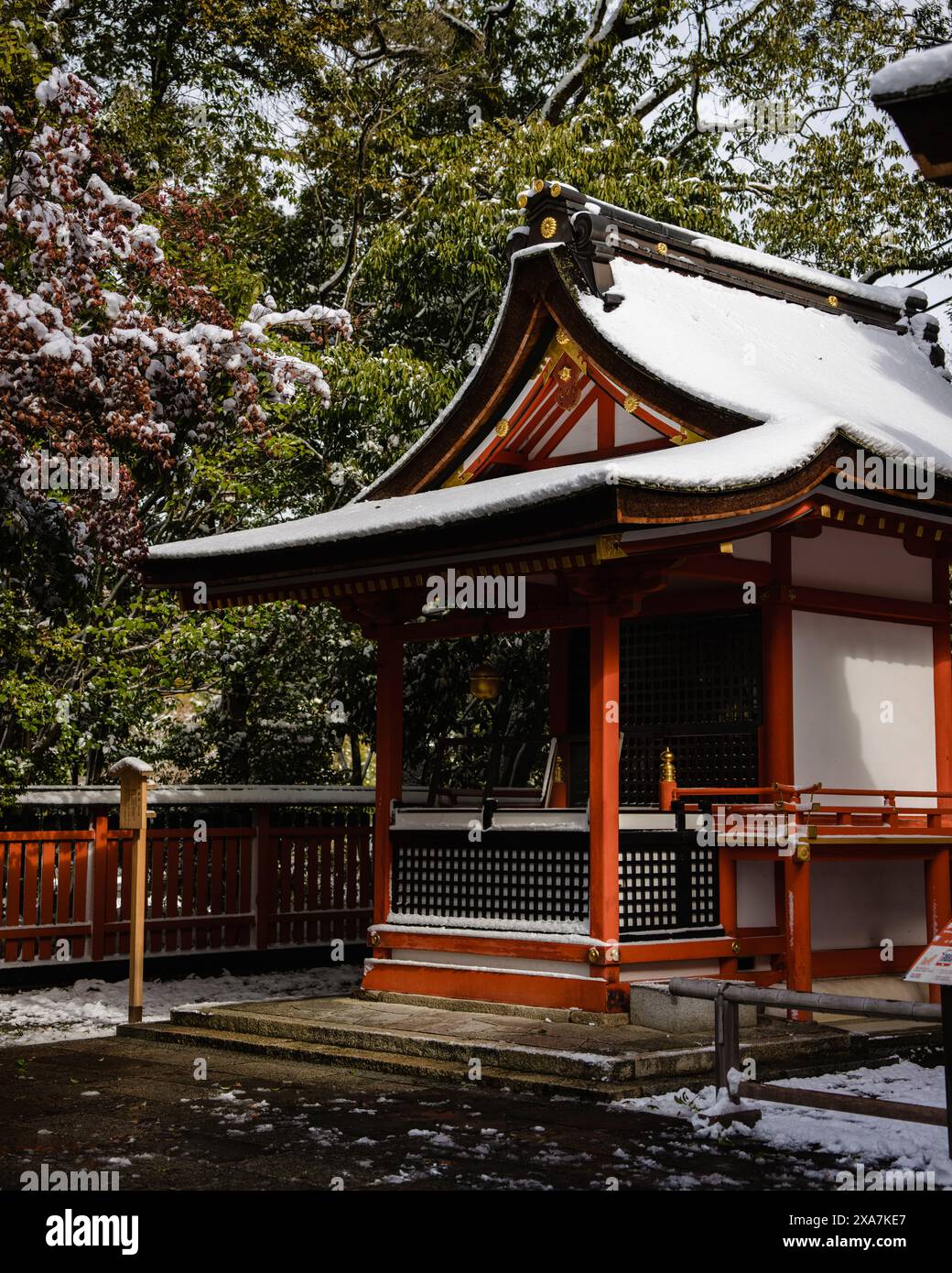 An Ancient traditional Japanese gateway and temples covered in rare ...