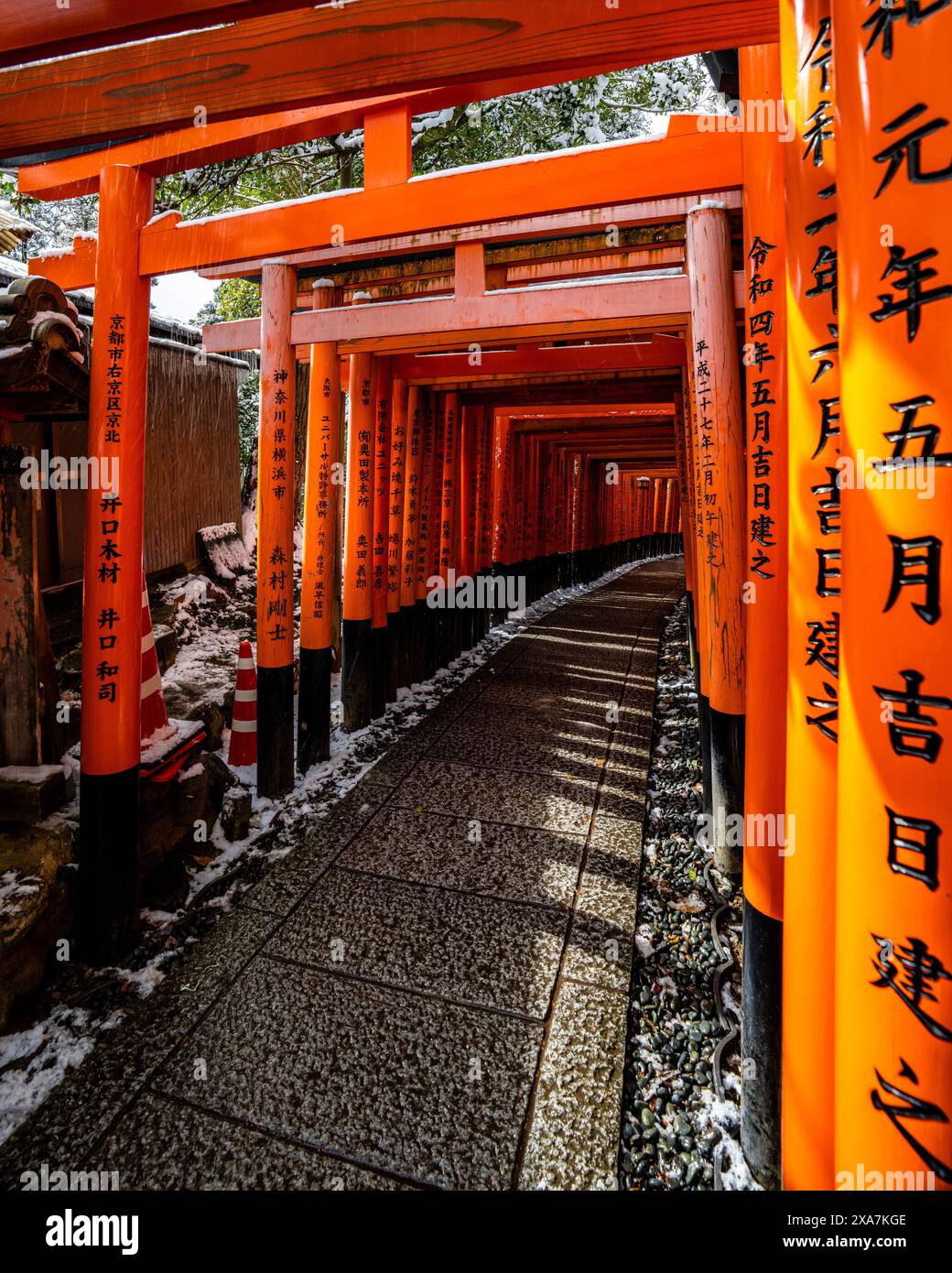 A Rare Winter snow at Torii Gate Tunnel at Fushimi Inari Shrine in ...