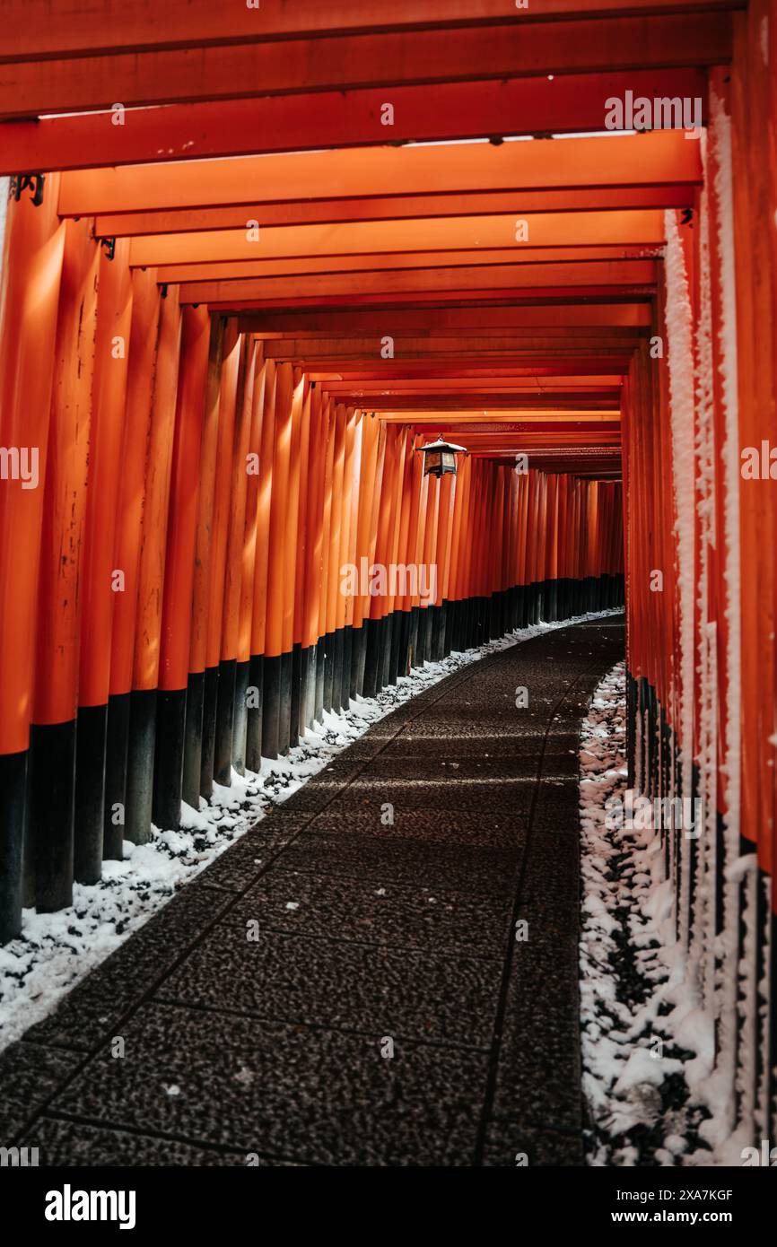 A Rare Winter snow at Torii Gate Tunnel at Fushimi Inari Shrine in ...