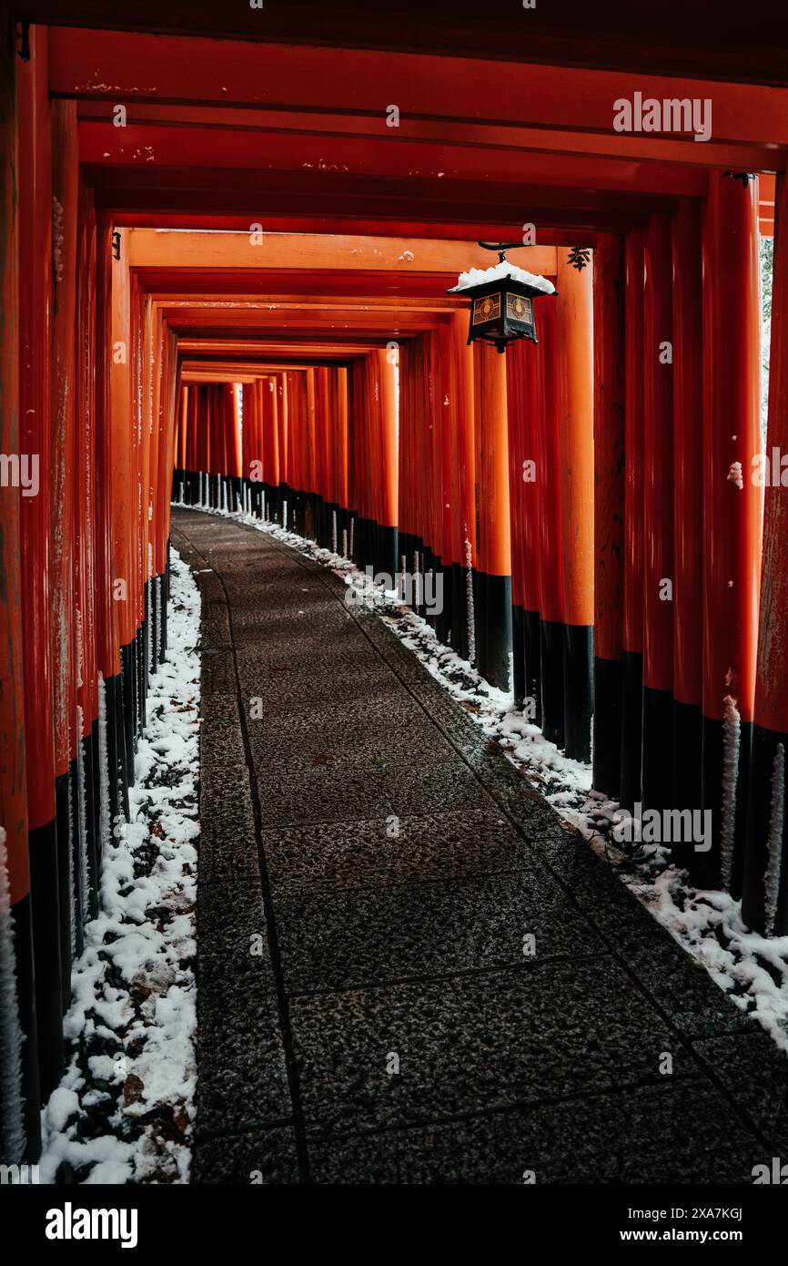 A Rare Winter snow at Torii Gate Tunnel at Fushimi Inari Shrine in ...