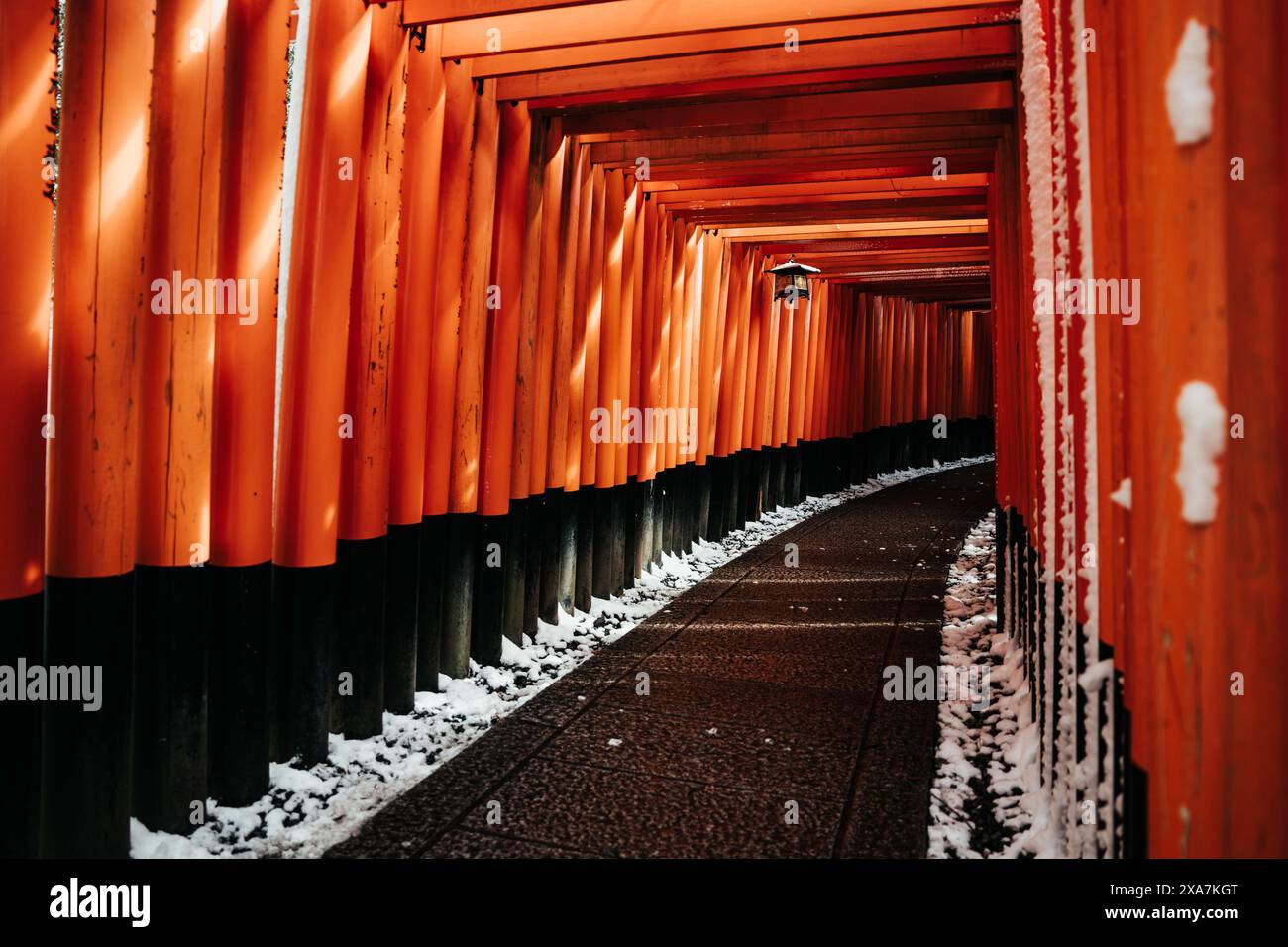 A Rare Winter snow at Torii Gate Tunnel at Fushimi Inari Shrine in ...