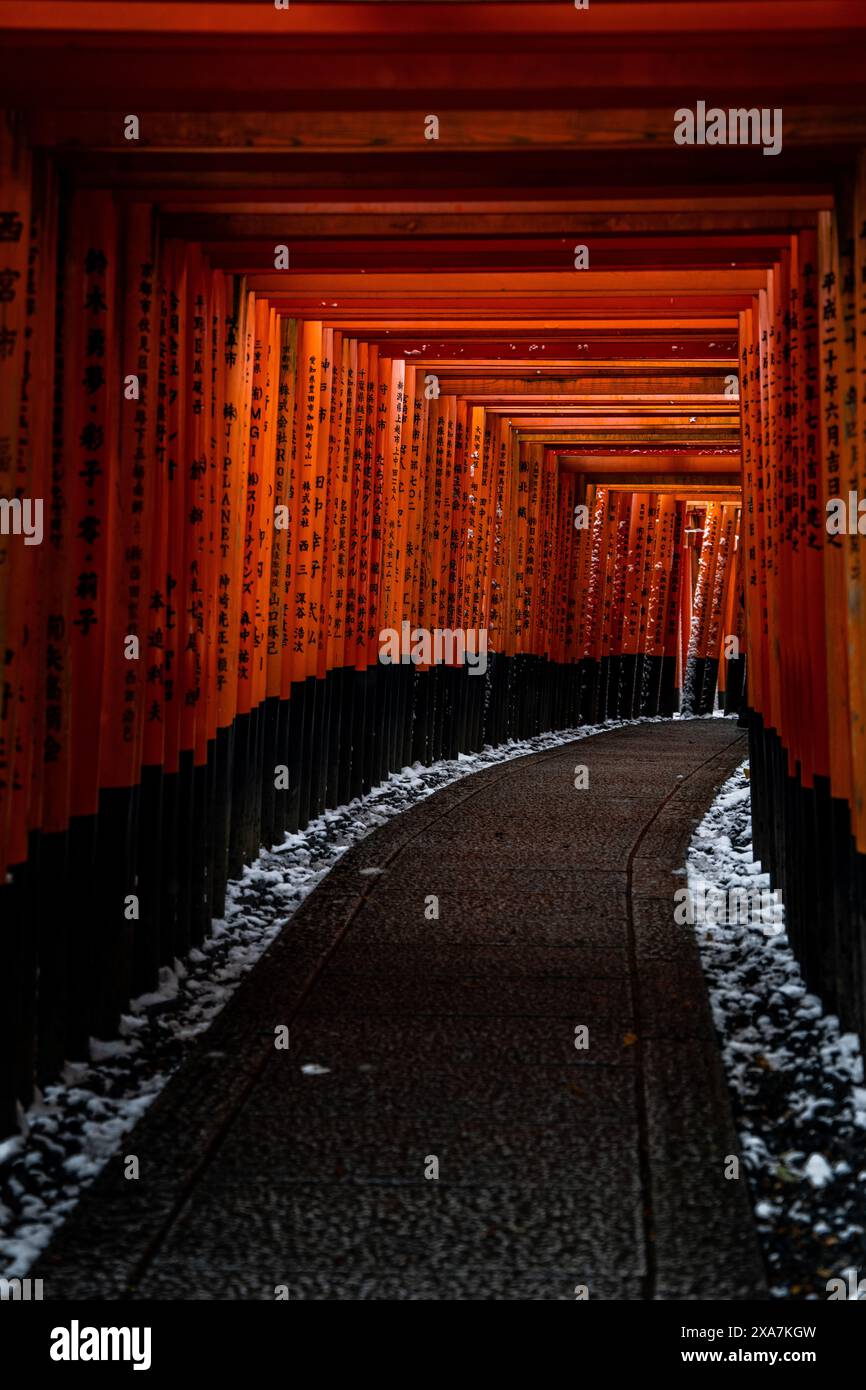 A Rare Winter snow at Torii Gate Tunnel at Fushimi Inari Shrine in ...