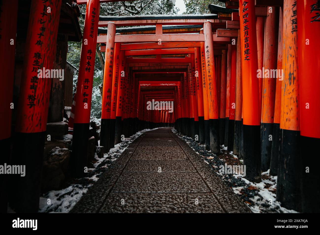 A Rare Winter snow at Torii Gate Tunnel at Fushimi Inari Shrine in ...