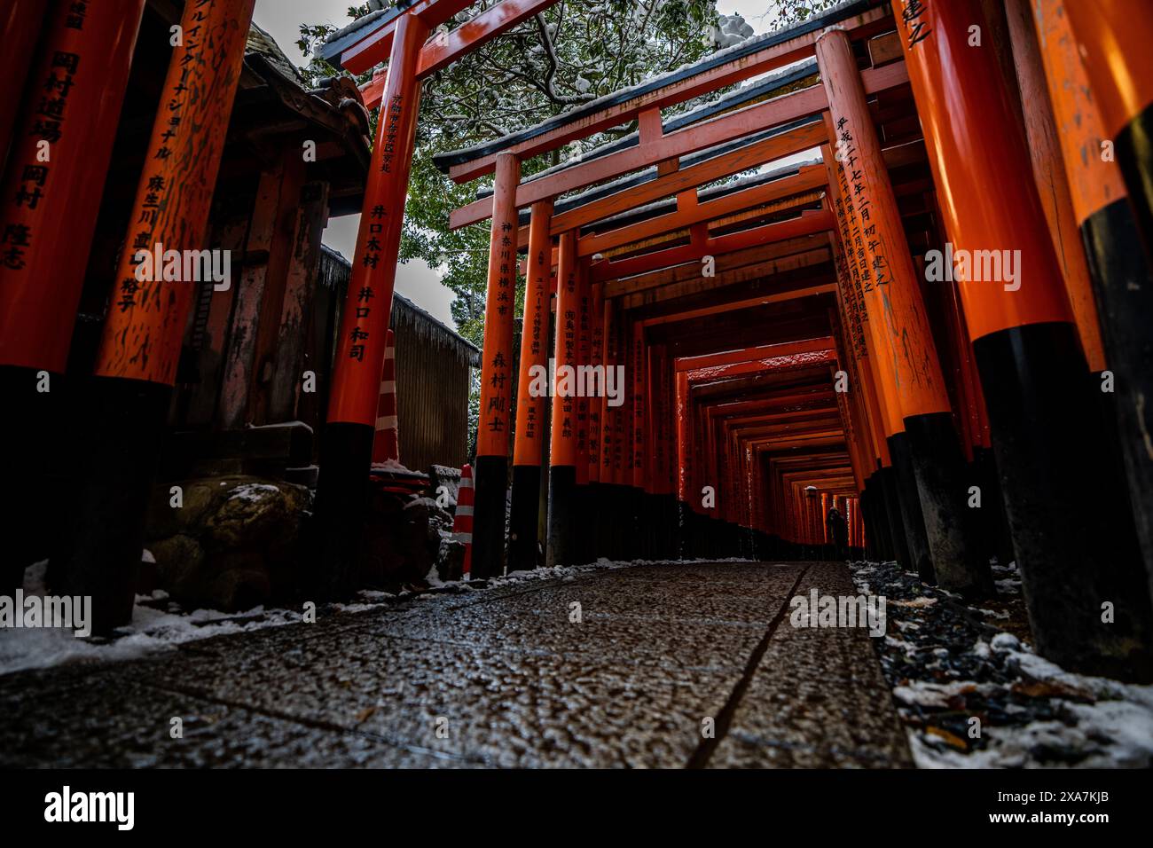 Low angle Rare Winter snow at ancient Torii Gate Tunnel at Fushimi ...