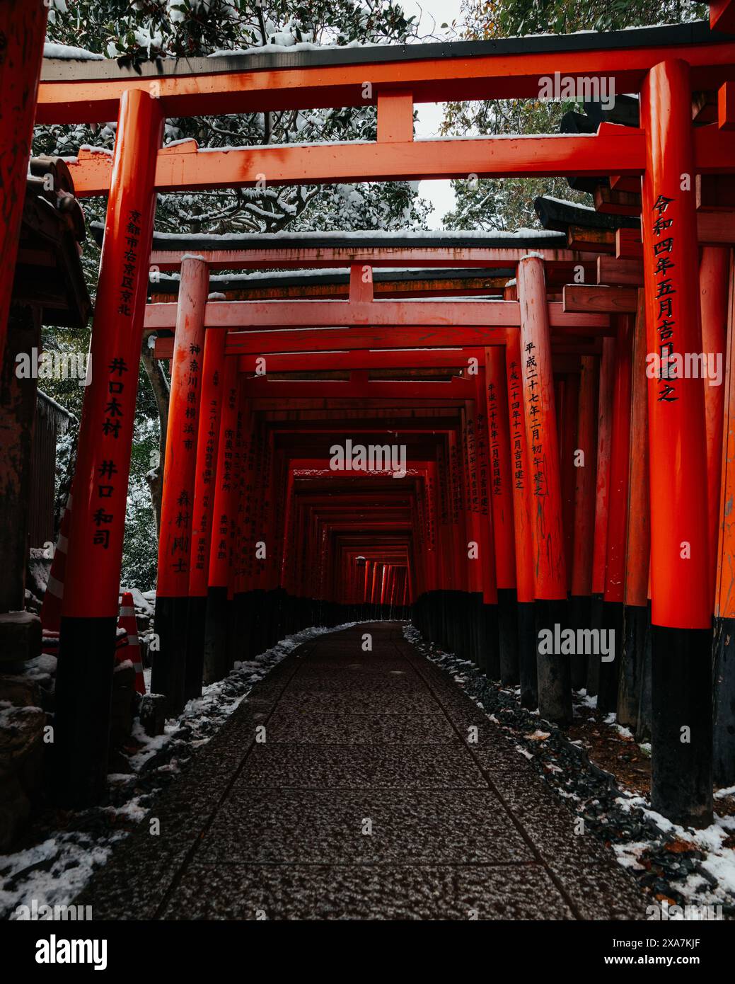 A Rare Winter snow at Torii Gate Tunnel at Fushimi Inari Shrine in ...