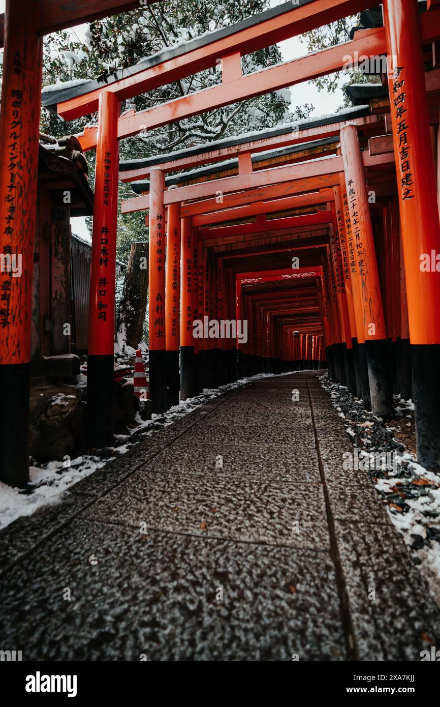 A Rare Winter snow at Torii Gate Tunnel at Fushimi Inari Shrine in ...