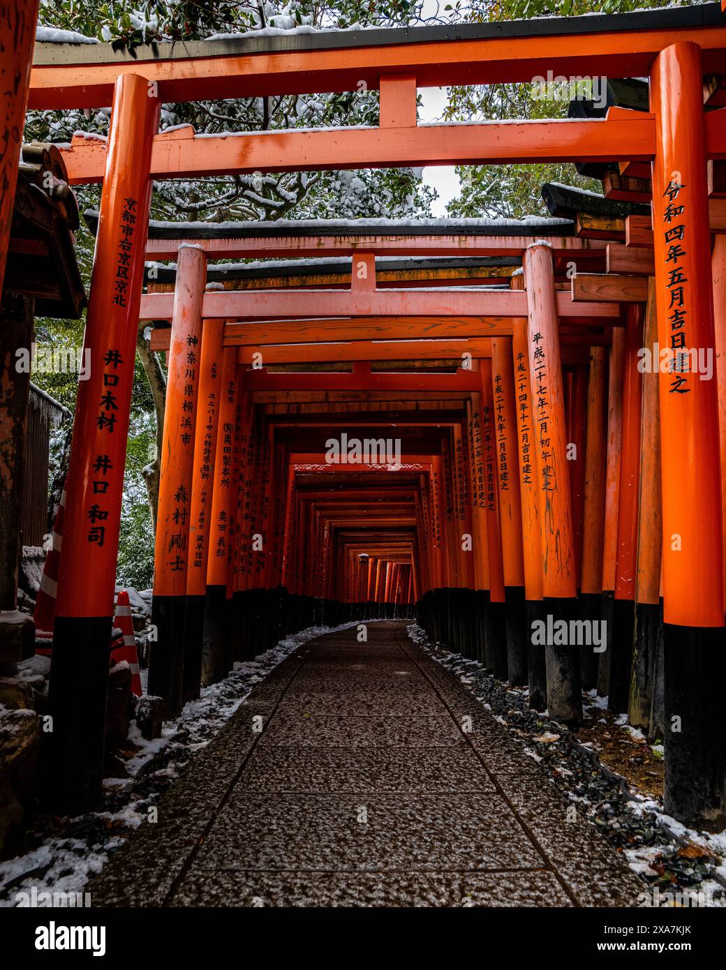 A Rare Winter snow at Torii Gate Tunnel at Fushimi Inari Shrine in ...