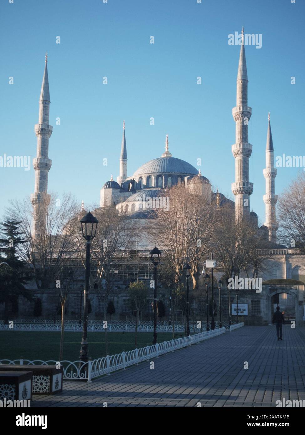 Trees prominent structure hi-res stock photography and images - Alamy