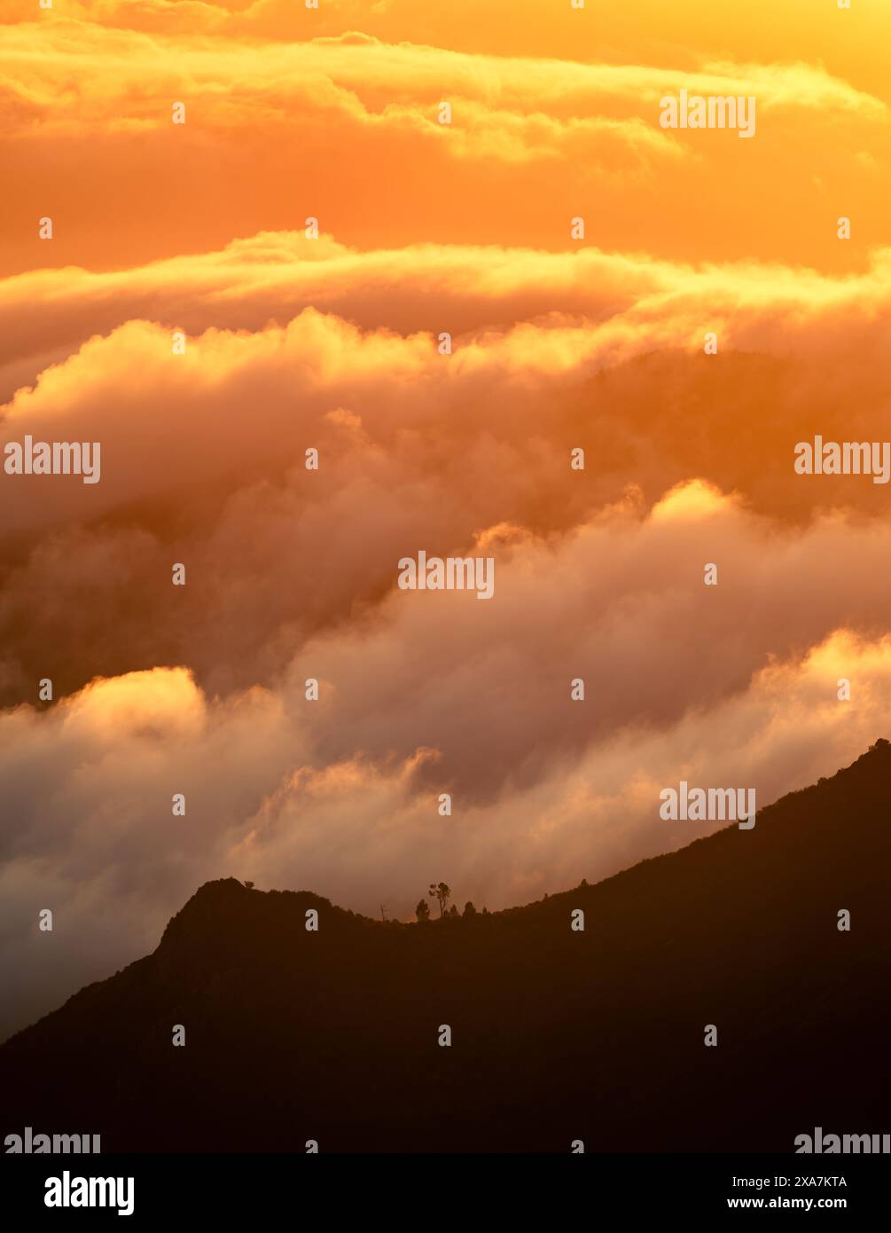 Mist wave hi-res stock photography and images - Alamy