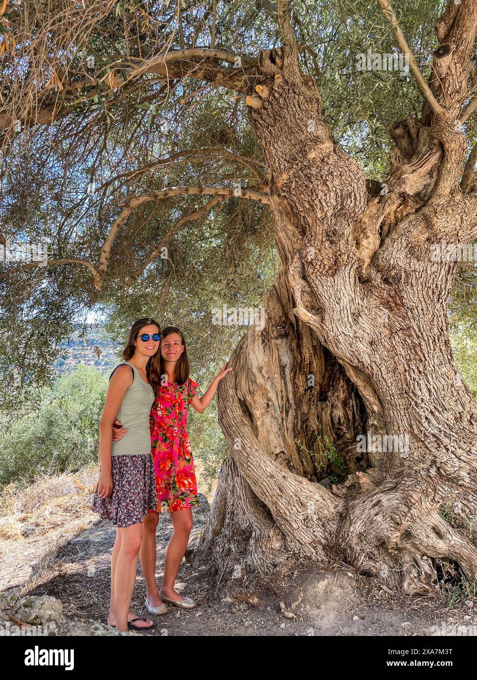 Two women standing by tree with carving Stock Photo - Alamy