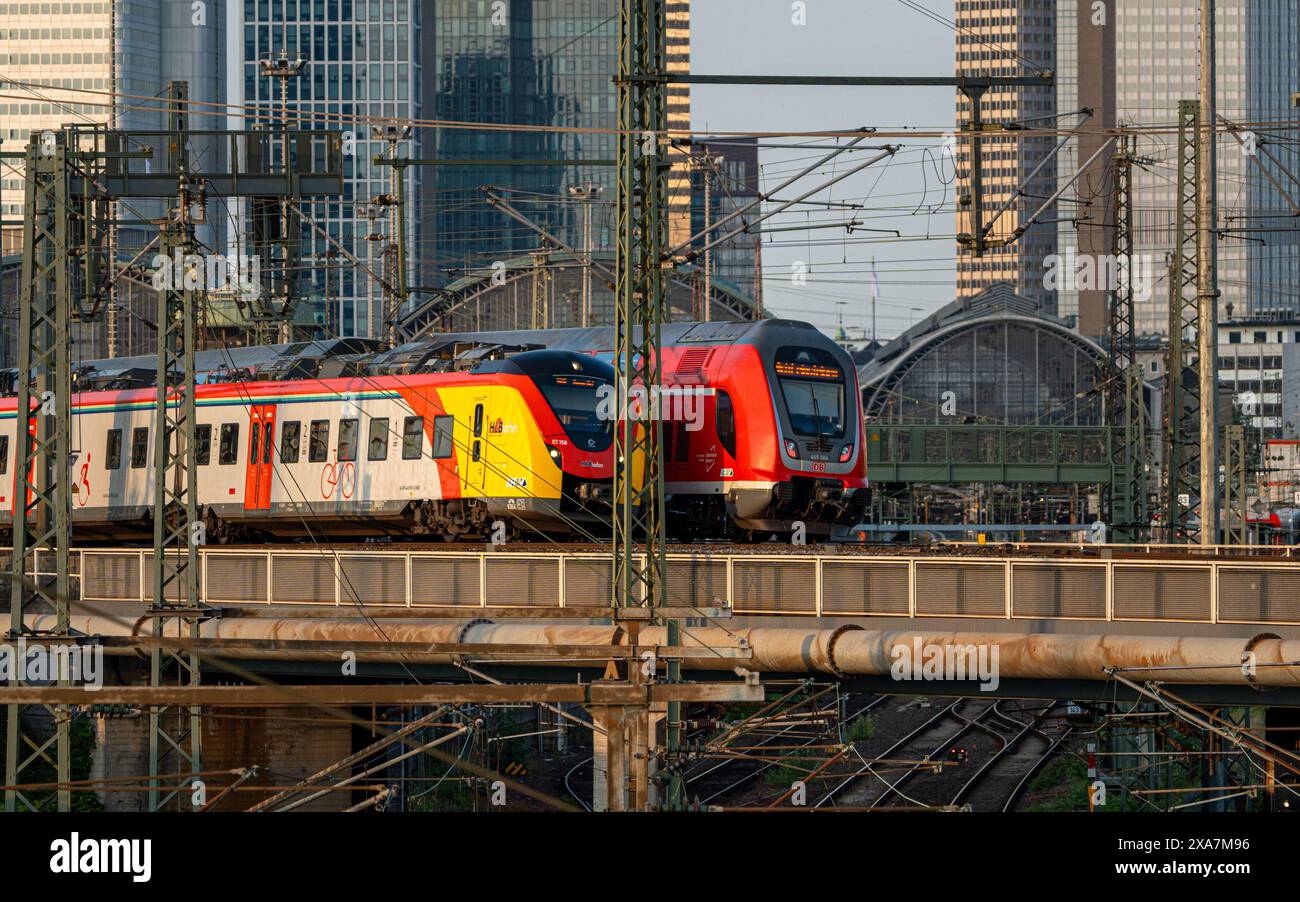 Two regional trains beside each other in the sunlight at Frankfurt Main station Stock Photo - Alamy