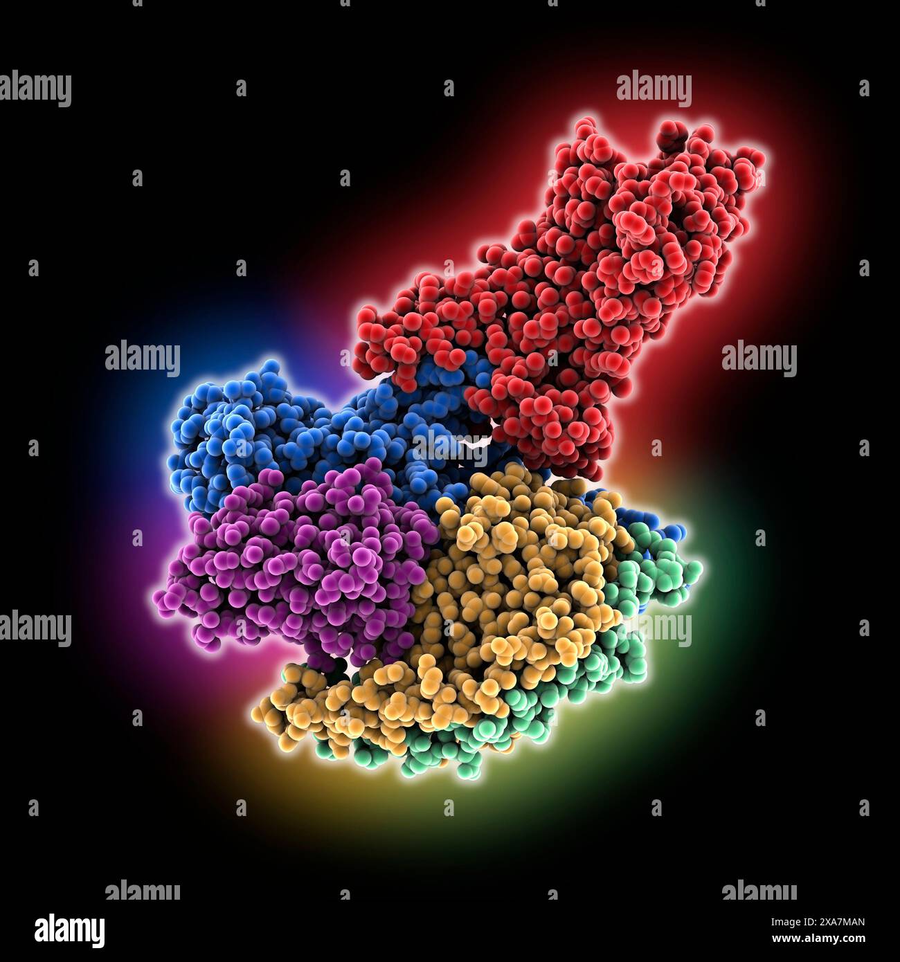 Molecular model of the human olfactory receptor 51E2 complex with the ...