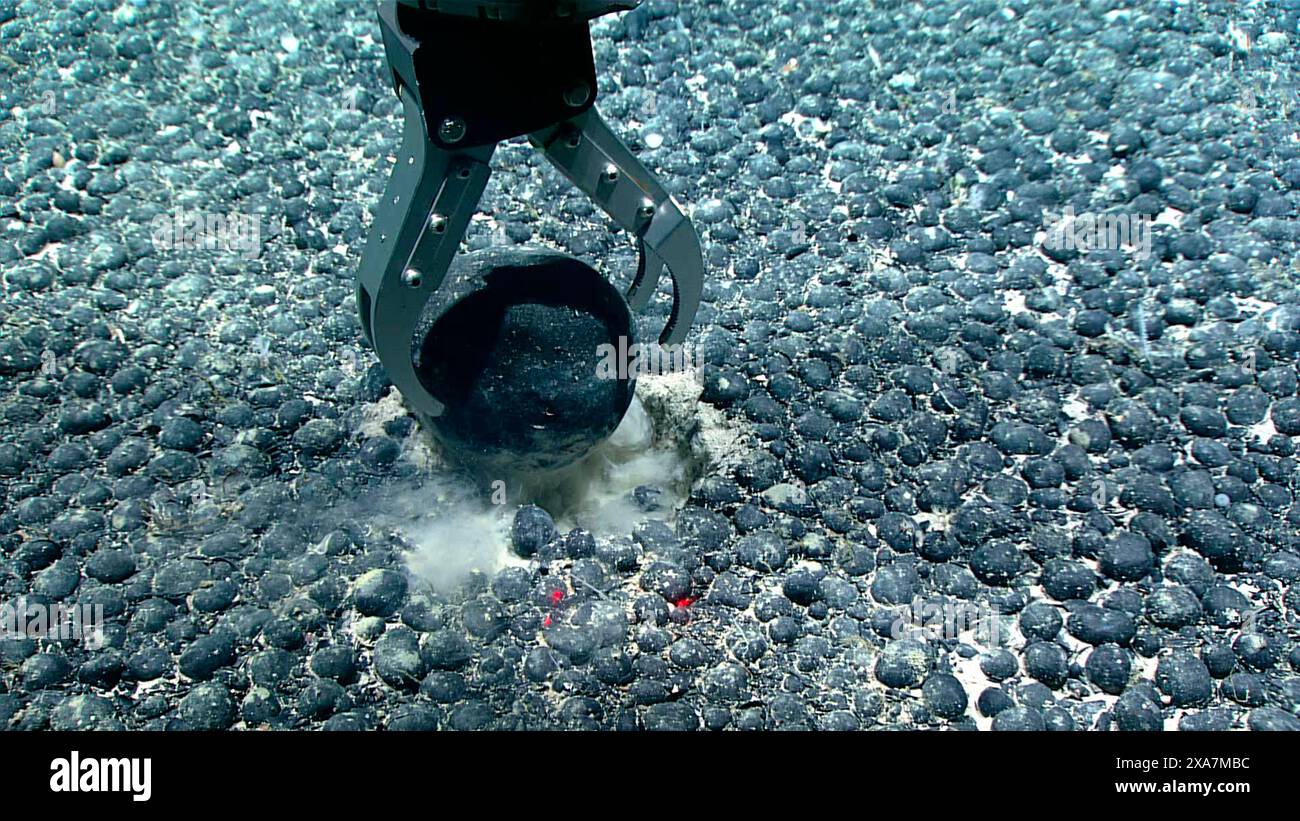 Remotely operated vehicle (ROV) collecting a ferromanganese (containing ...