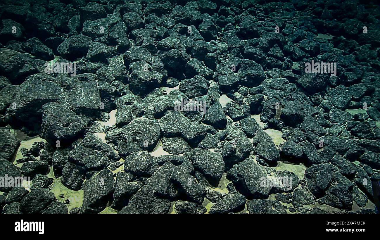 Ferromanganese nodules on the sea floor. These are nodules containing ...