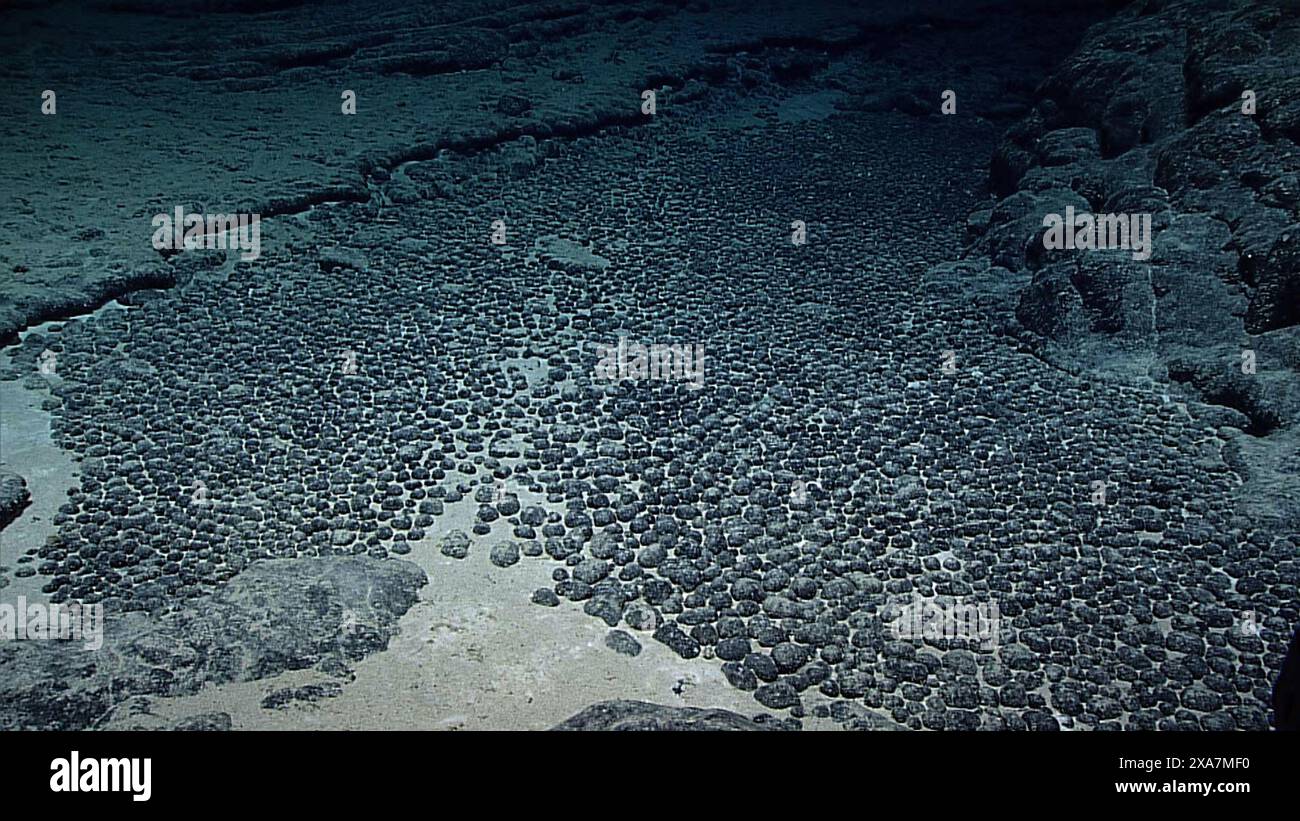 Ferromanganese nodules on the sea floor. These are nodules containing ...