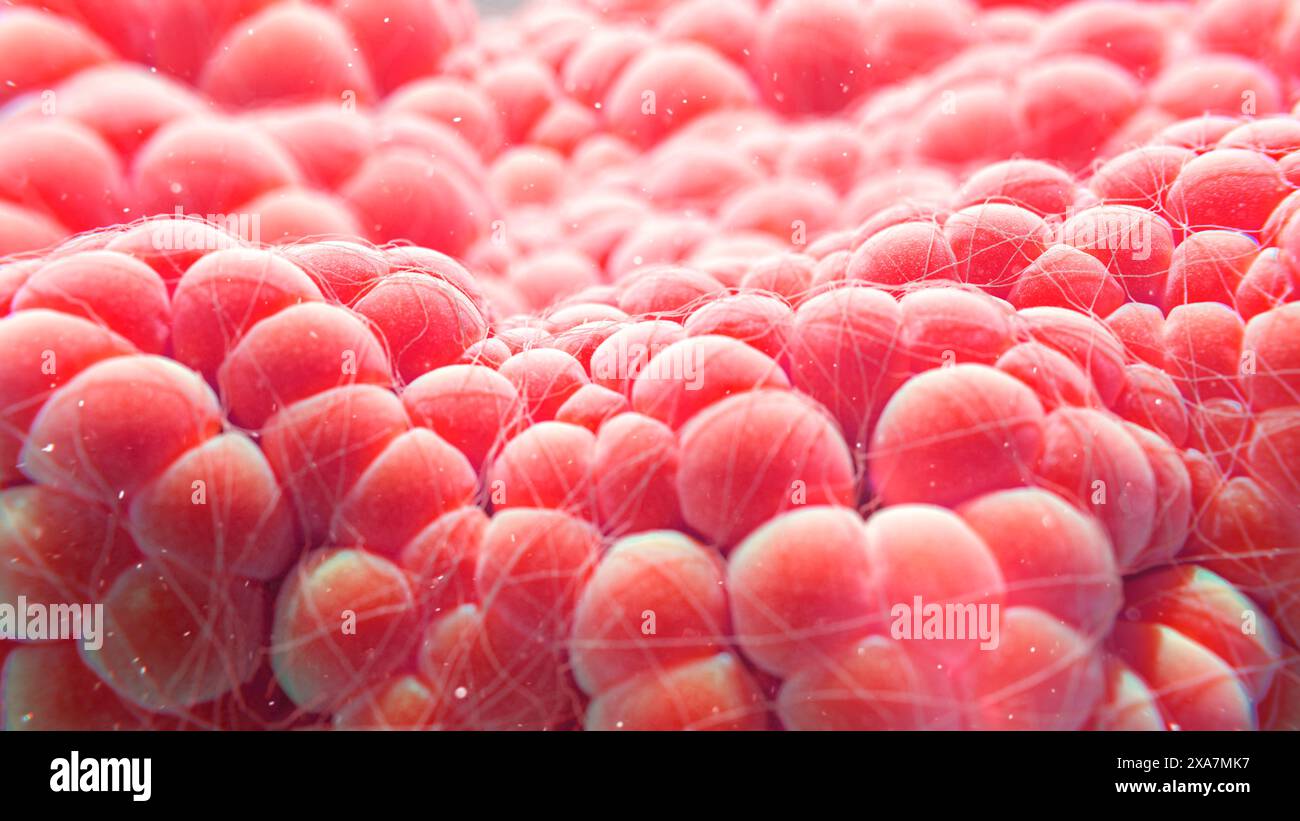Illustration of fat cells Stock Photo - Alamy