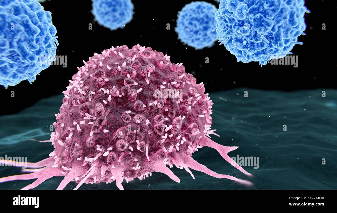 Illustration depicting tumour infiltrating lymphocyte (TIL) therapy for cancer treatment. During ...