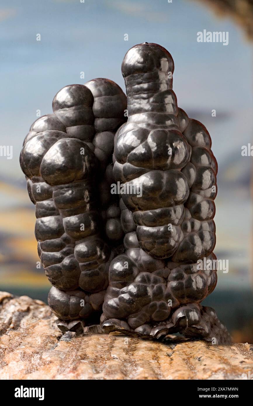 Hematite is one of several varieties of iron oxide, a common mineral ...