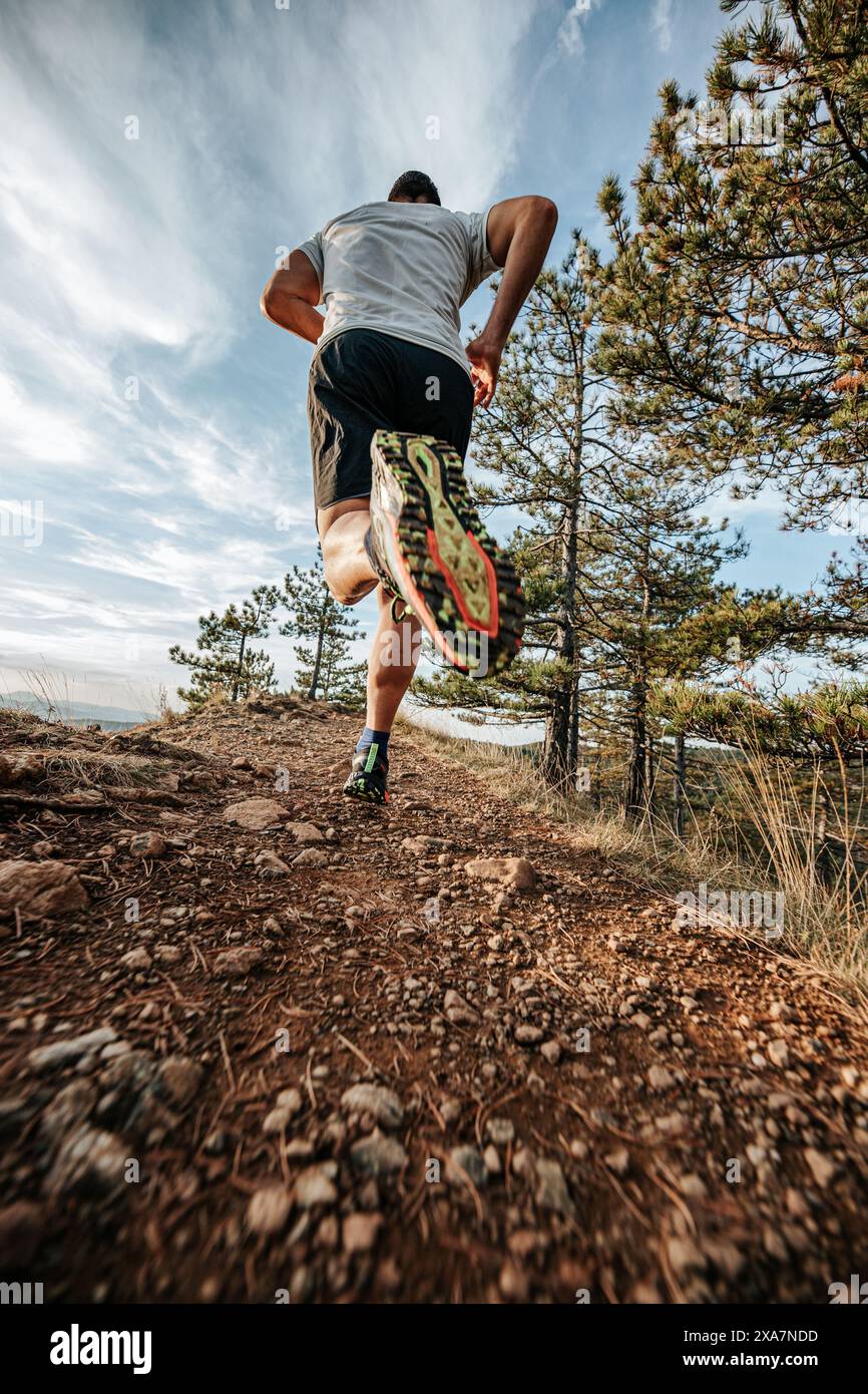 A man running on a forest trail amidst trees Stock Photo - Alamy