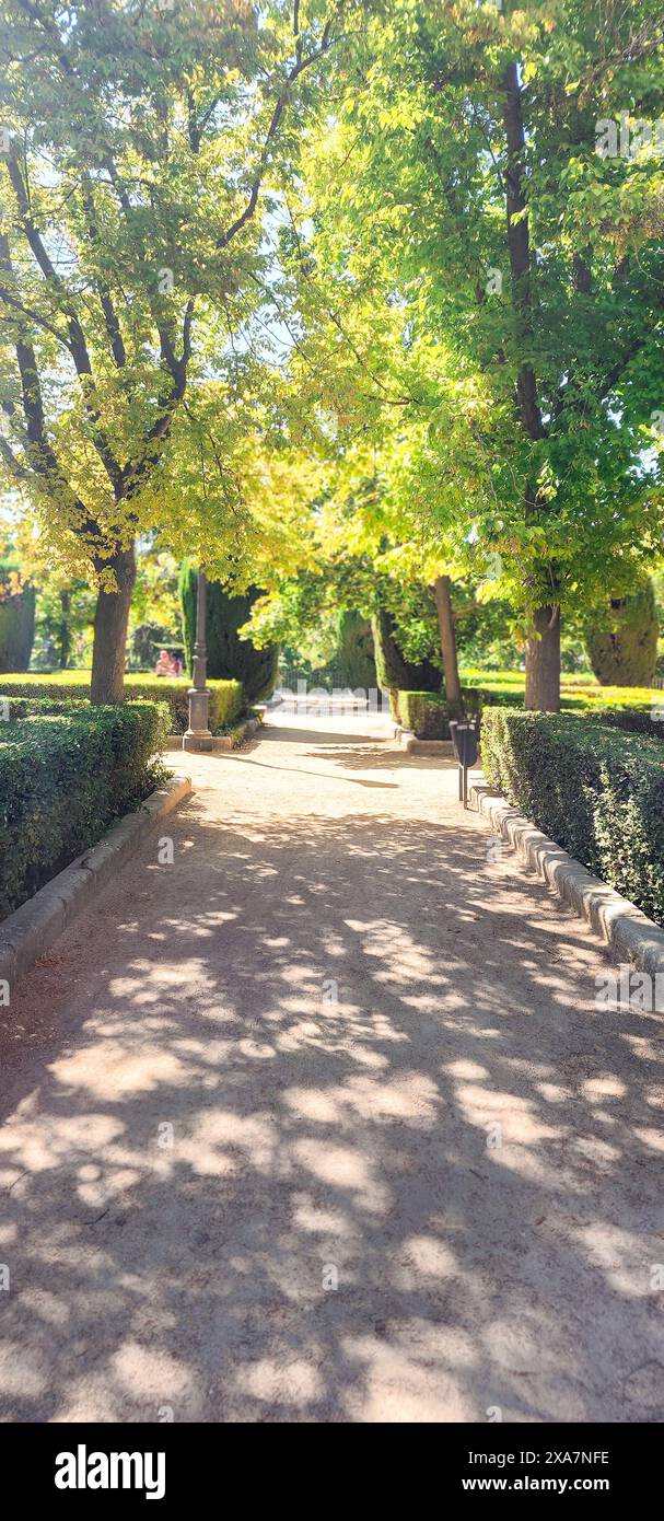 Pathway lined with lush trees and bushes leading to an open outdoor ...