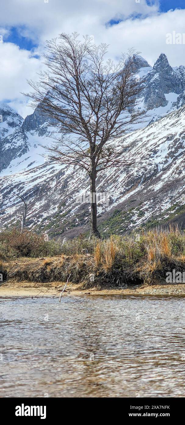 Two horses galloping in water with mountains backdrop Stock Photo - Alamy