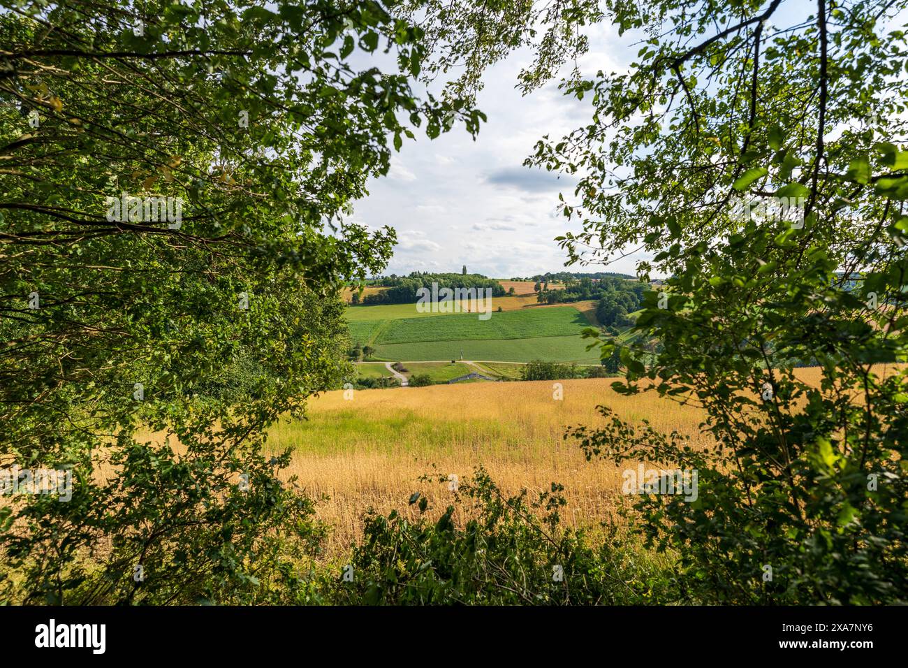 Scenic landscape of farmland fields and rolling hills from a high ...