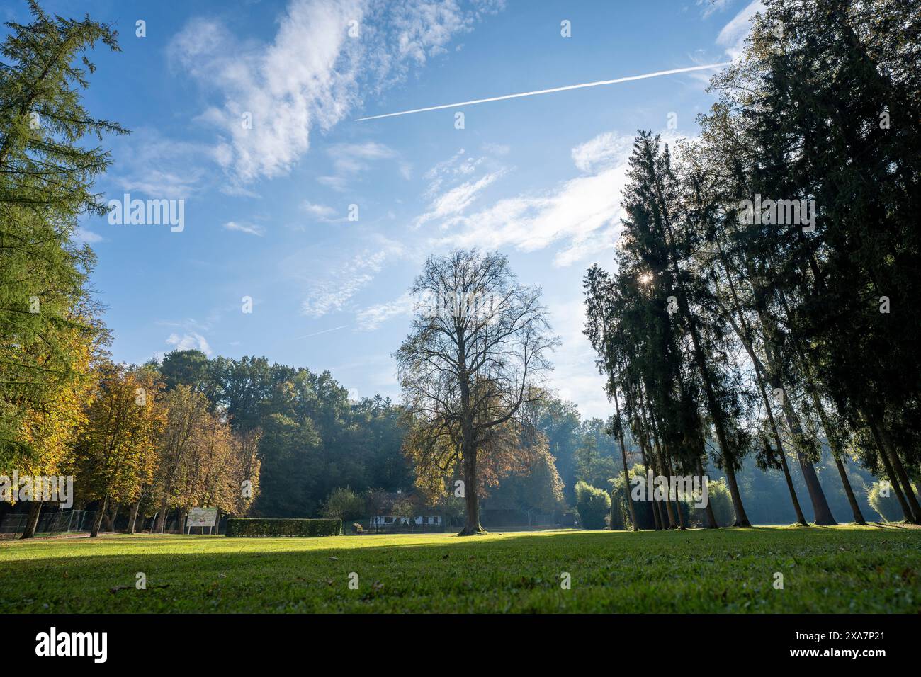 Autumn park scene with trees on both sides and blue sky backdrop Stock ...