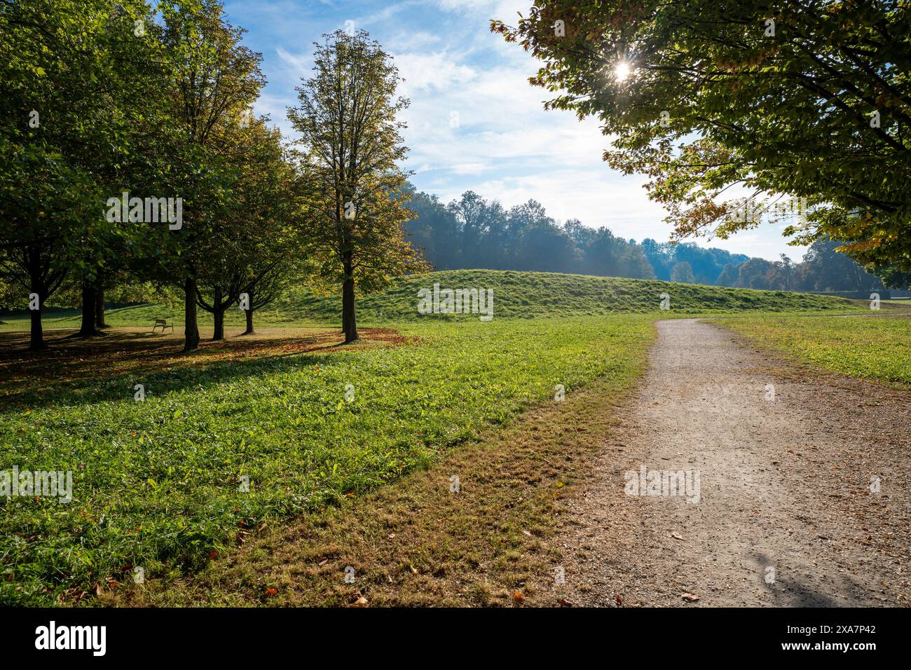 Remote forest hi-res stock photography and images - Alamy