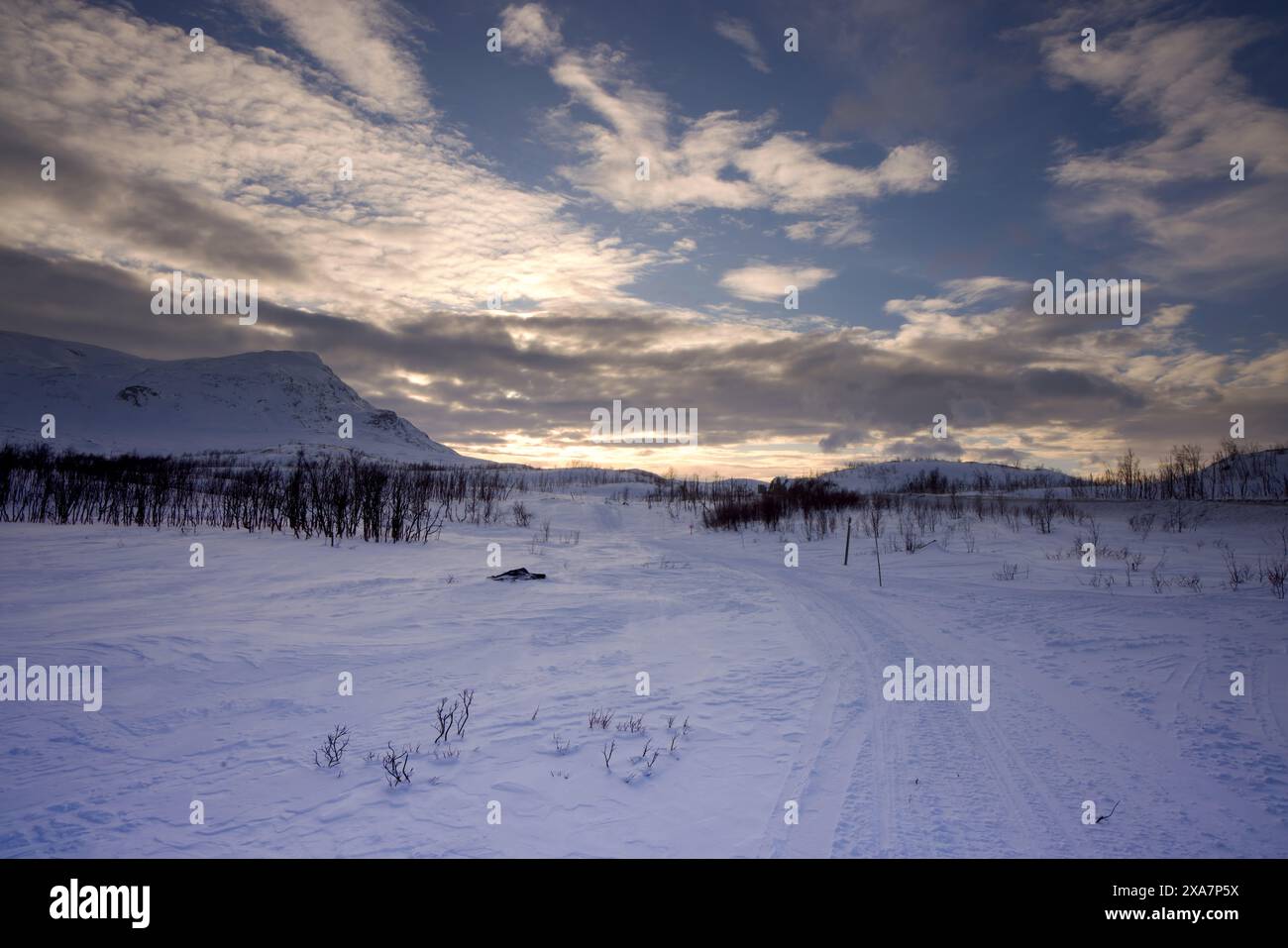 Frost covering the ground hi-res stock photography and images - Alamy