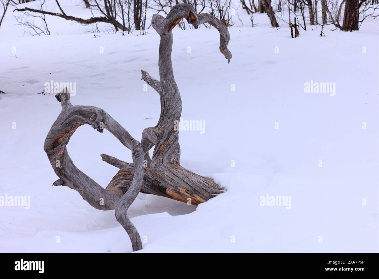 Fractured landscape hi-res stock photography and images - Alamy