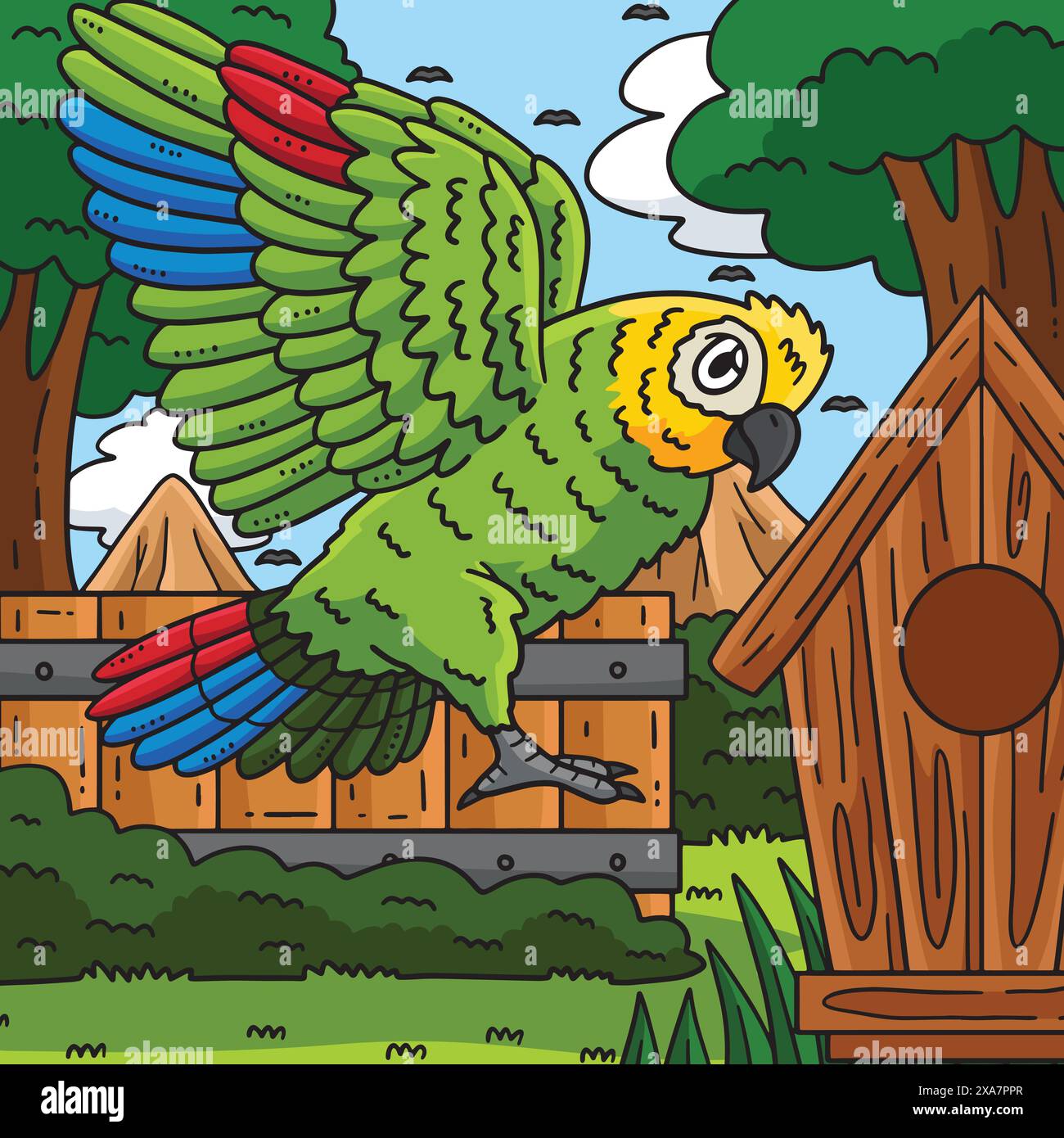 Amazon parrot drawing Stock Vector Images - Alamy