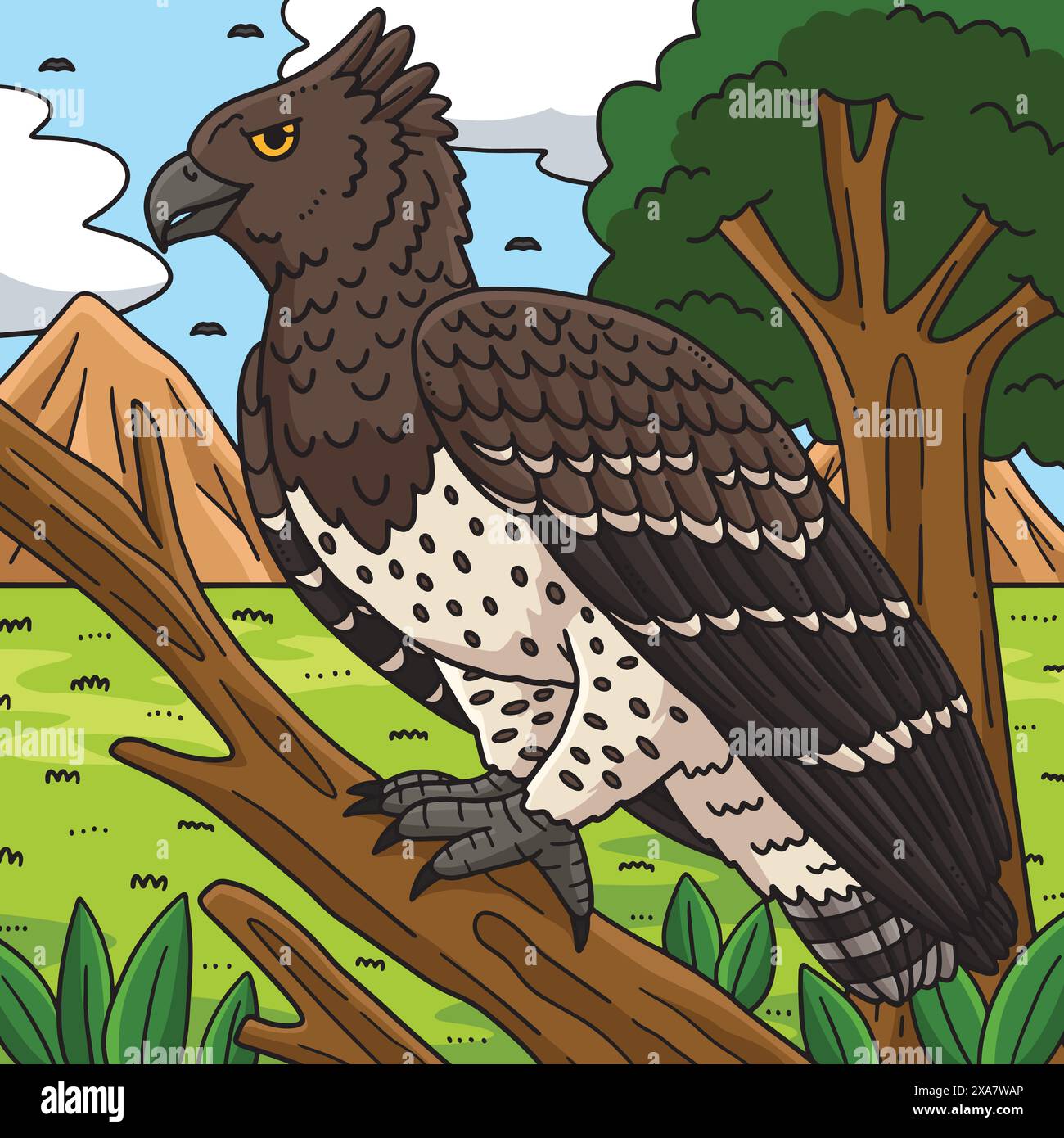 Martial Eagle Bird Colored Cartoon Illustration Stock Vector Image ...