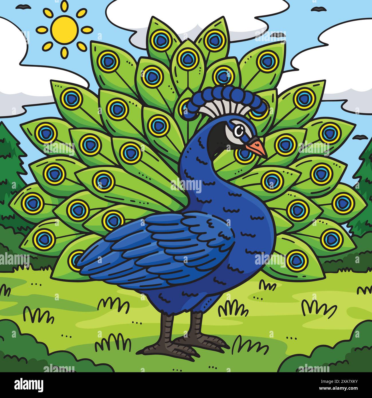 Peacock Bird Colored Cartoon Illustration Stock Vector Image & Art - Alamy