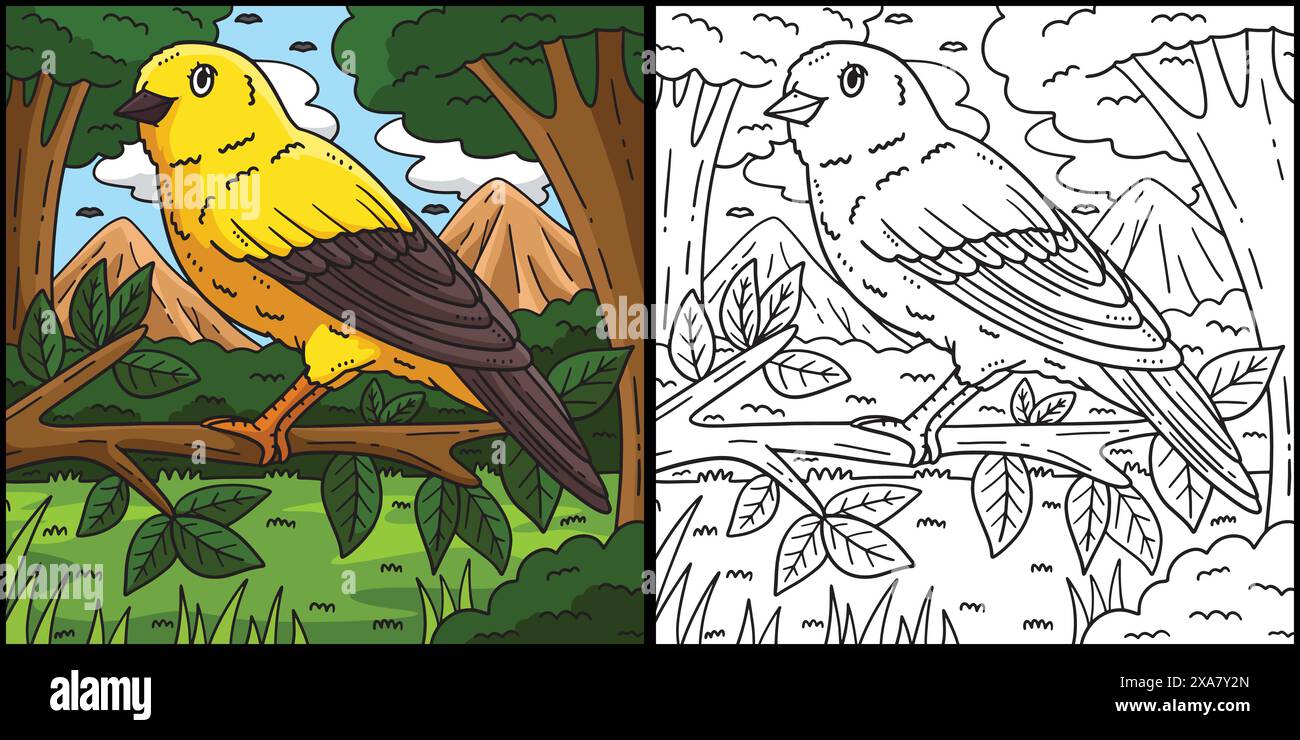 Canary Bird Coloring Page Colored Illustration Stock Vector Image & Art ...