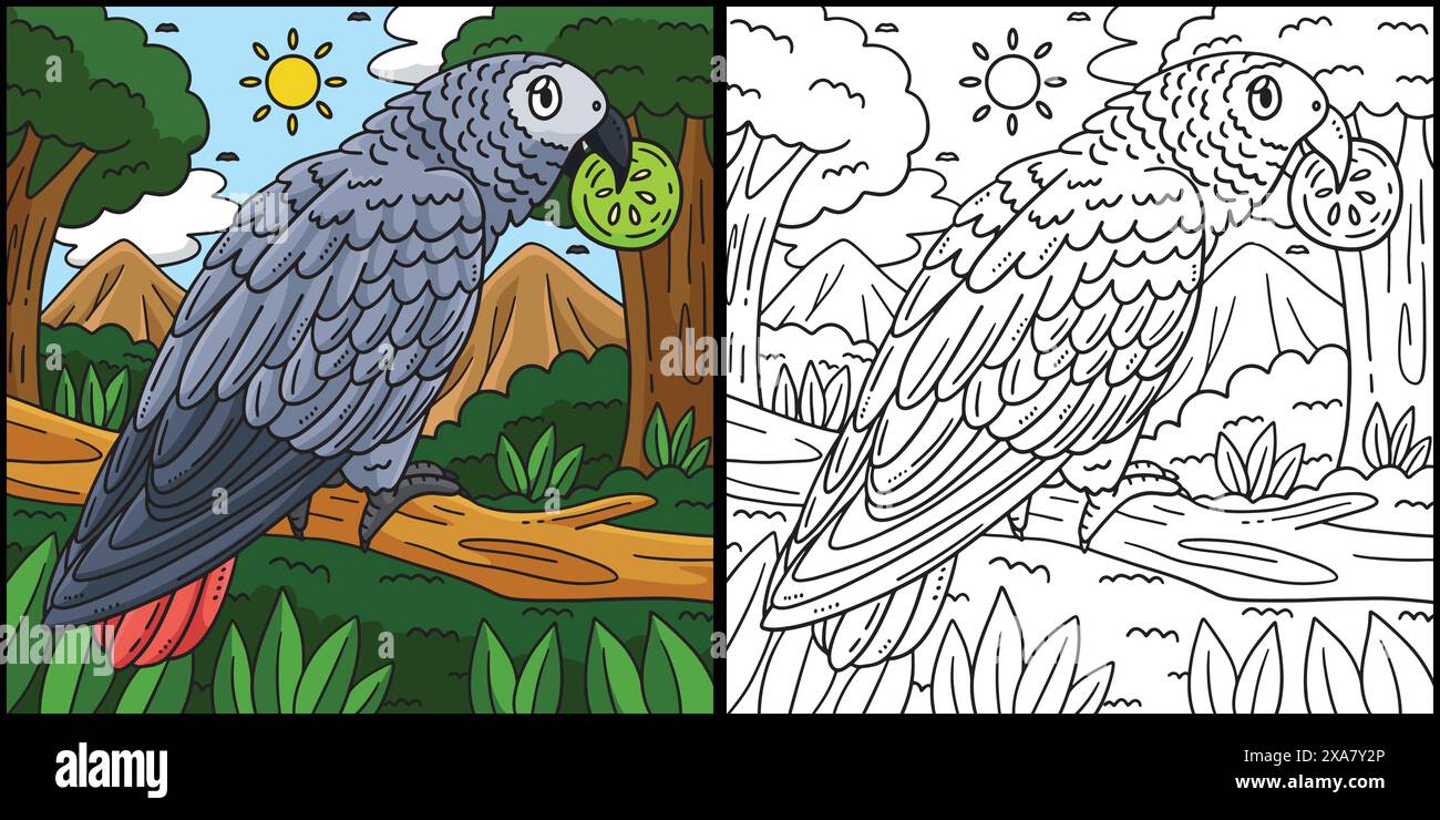 African Grey Parrot Bird Coloring Illustration Stock Vector Image & Art ...