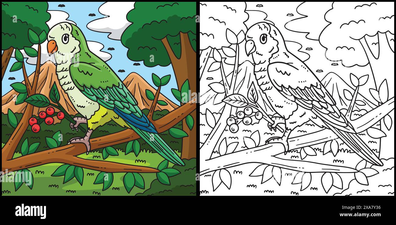 Monk Parakeet Bird Coloring Page Illustration Stock Vector Image & Art ...