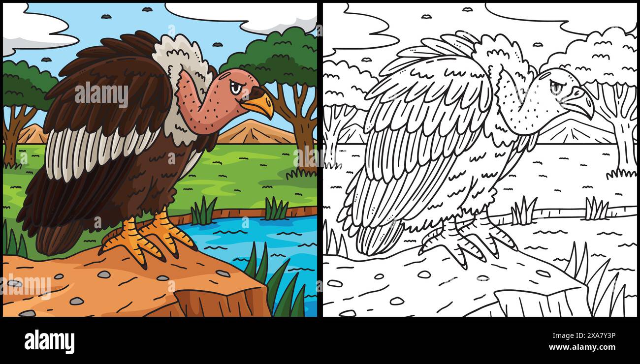 Vulture Bird Coloring Page Colored Illustration Stock Vector Image ...