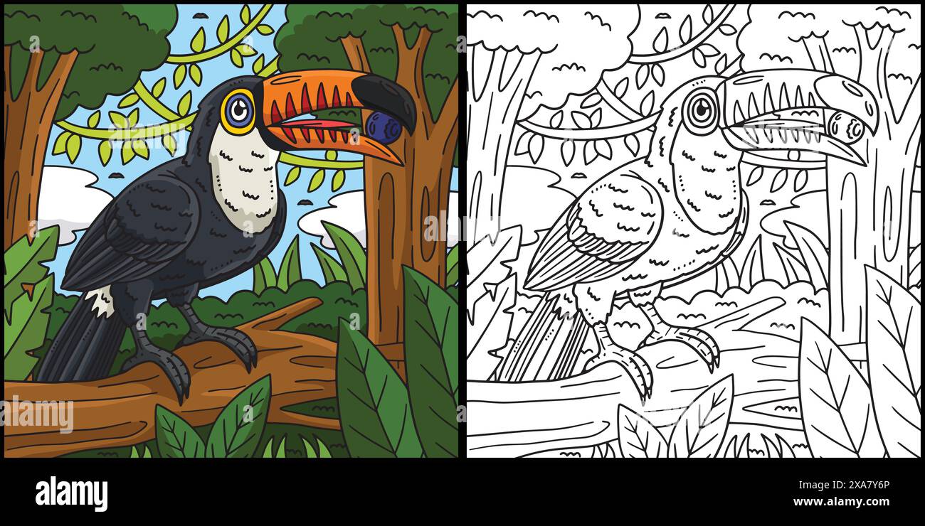 Tucan Bird Coloring Page Colored Illustration Stock Vector Image & Art ...