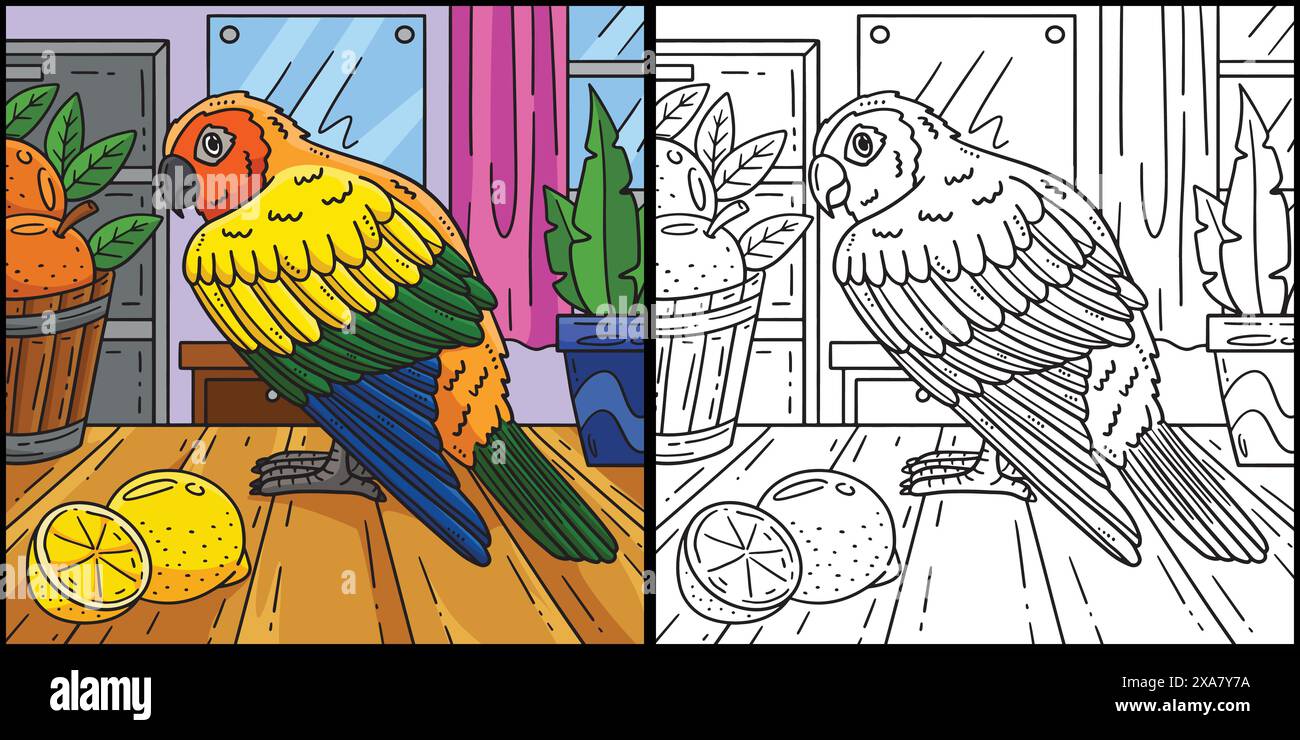 Conure Bird Coloring Page Colored Illustration Stock Vector Image & Art ...