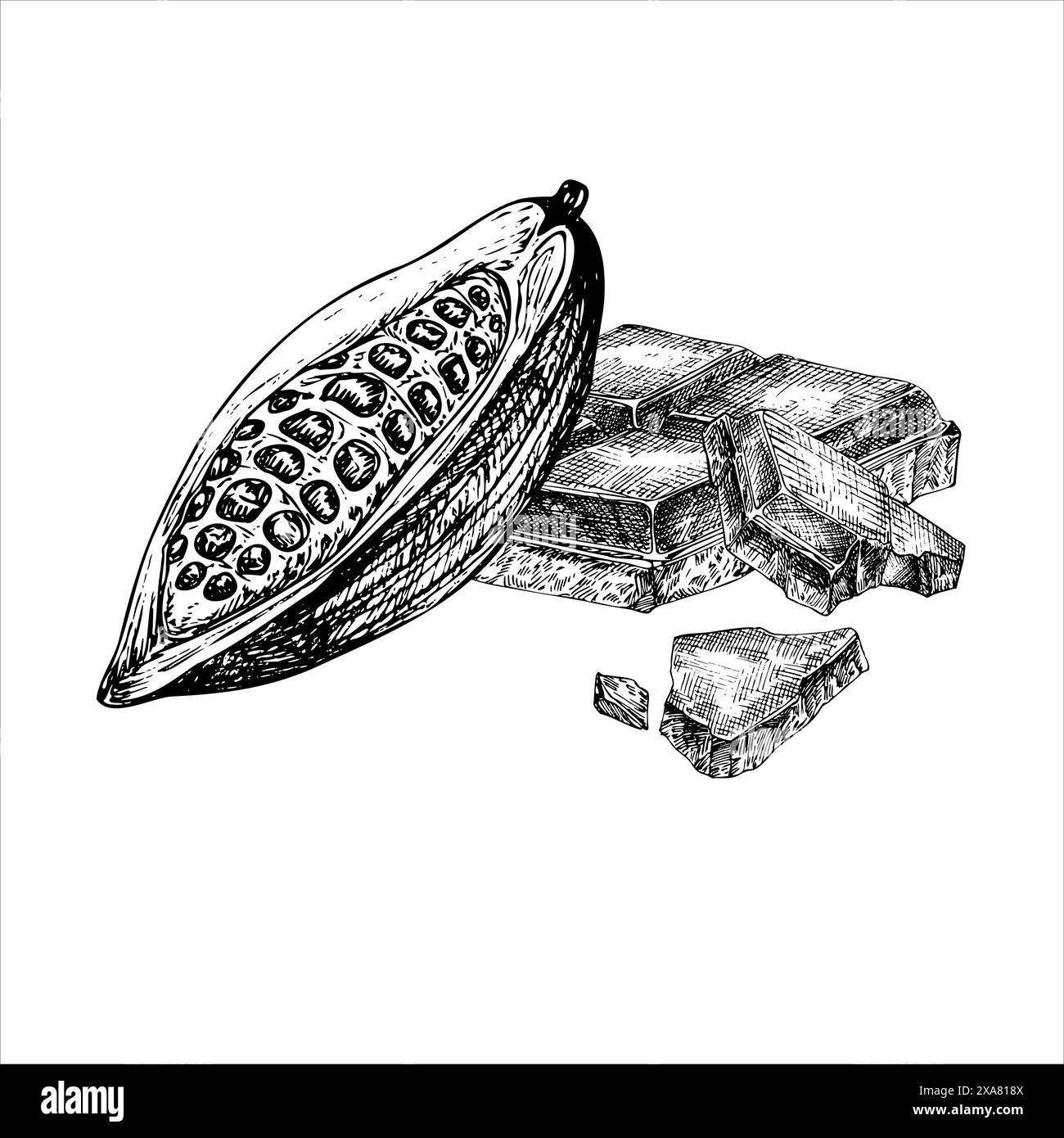 Cocoa fruit and chocolate bar graphic vector illustration, hand drawn ...