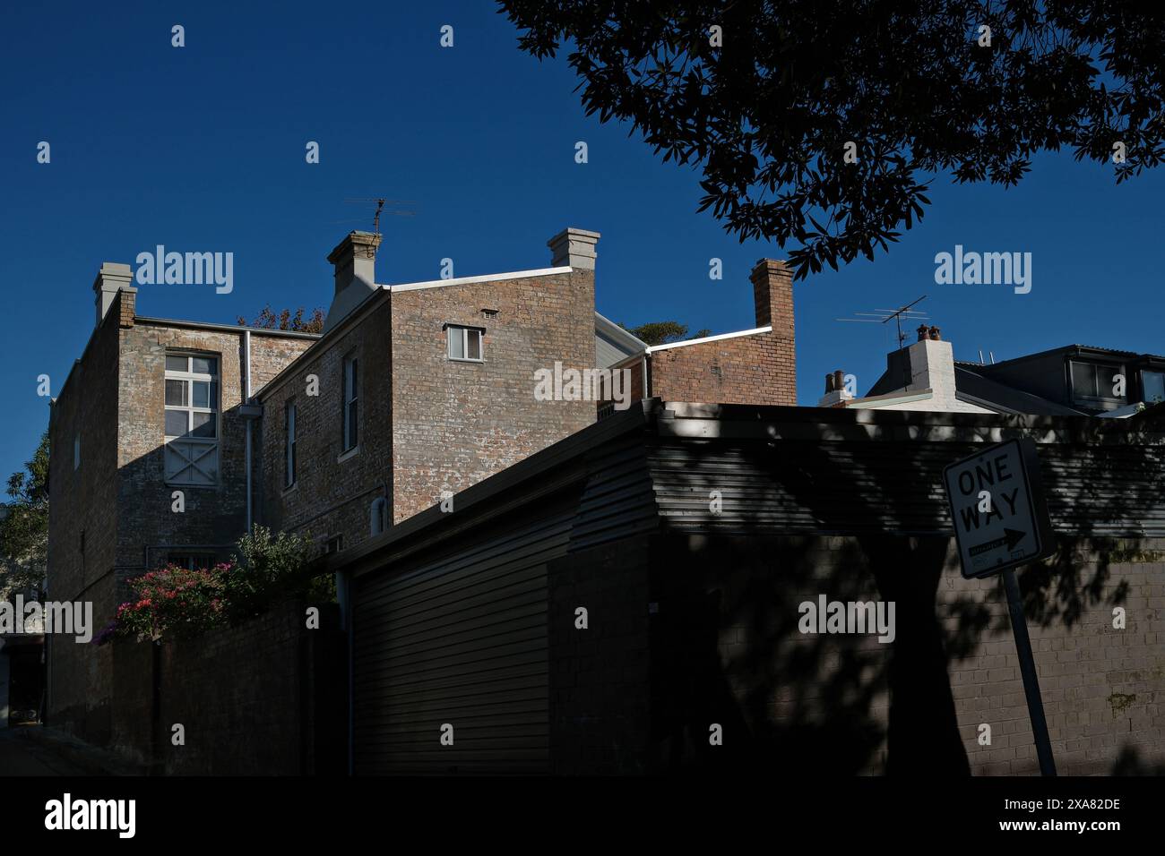Chippendale terrace houses seen from behind, Abercrombie and Lander St ...