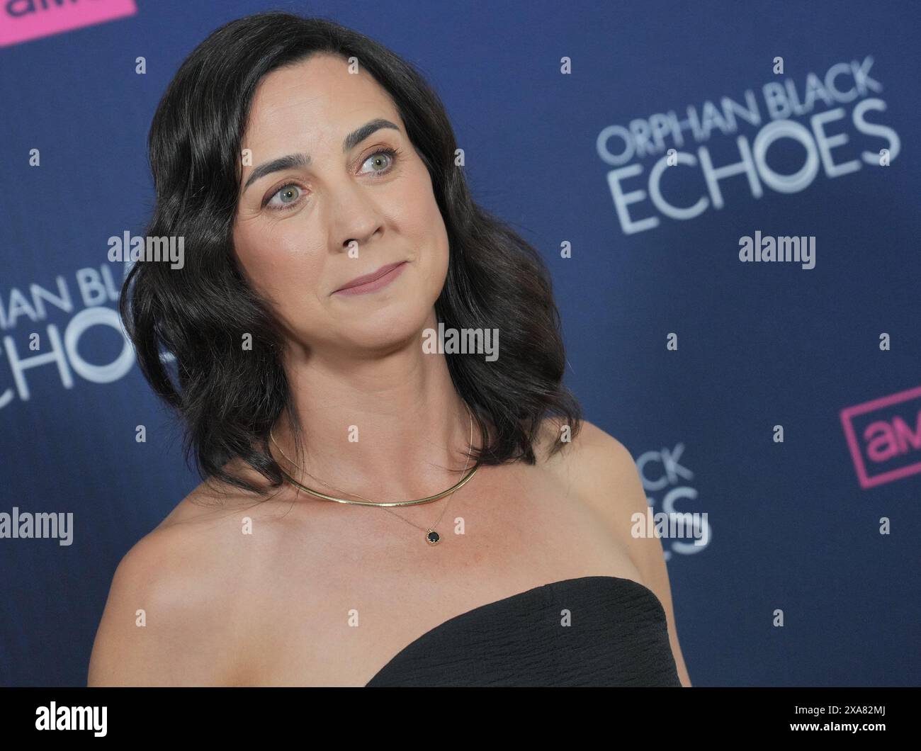 Los Angeles, USA. 04th June, 2024. Anna Fishkow at the ORPHAN BLACK ...