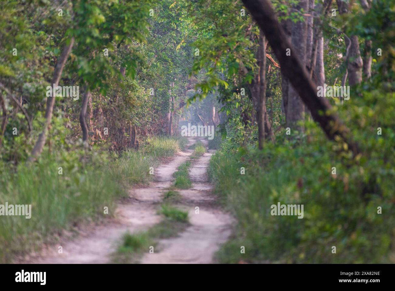 Taken off the road hi-res stock photography and images - Alamy