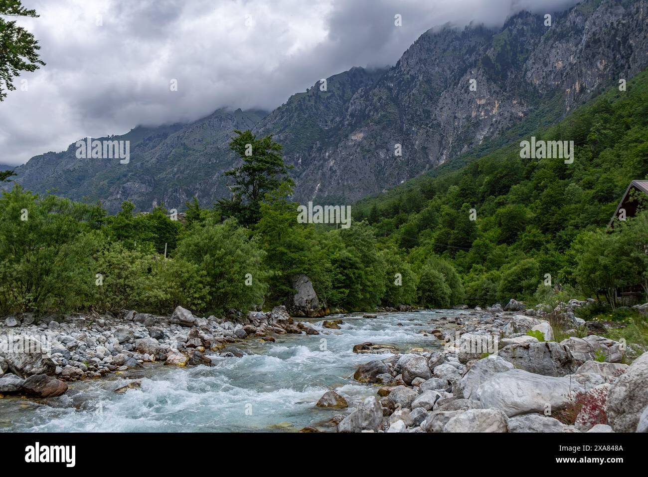 Crystal river national wildlife hi-res stock photography and images - Alamy