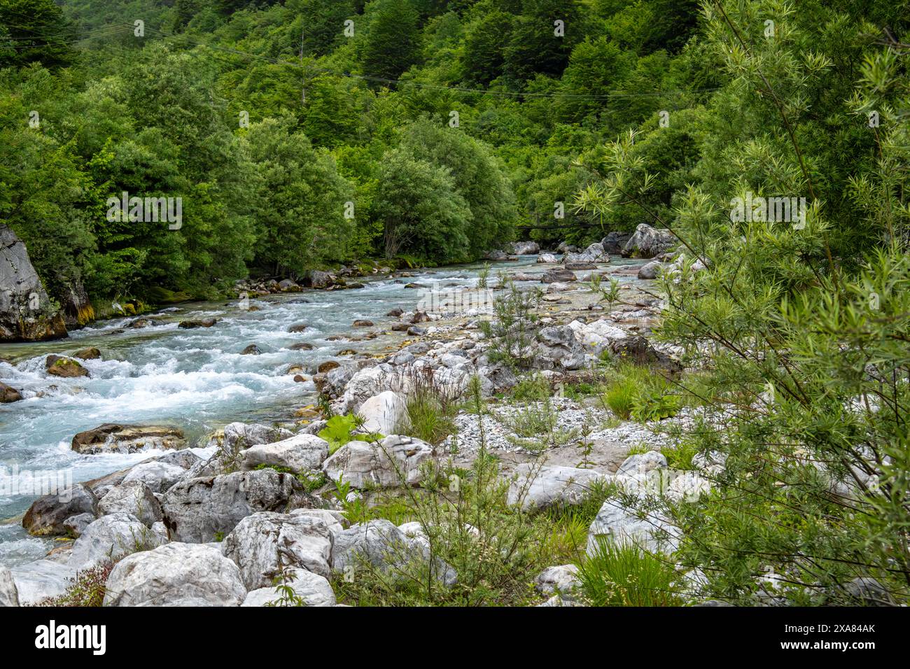 Valbona river flow Stock Photo - Alamy