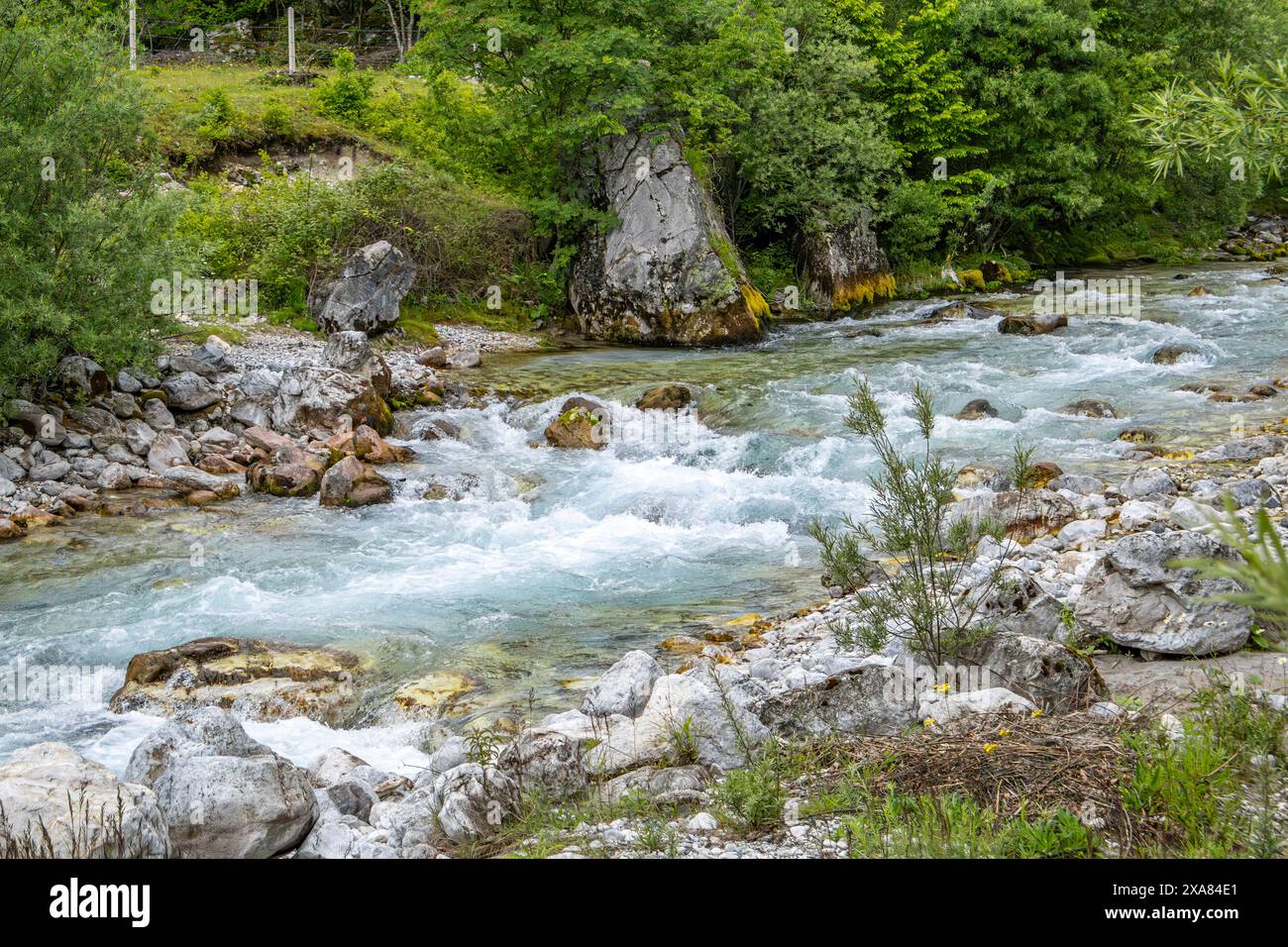 current river flow Stock Photo - Alamy