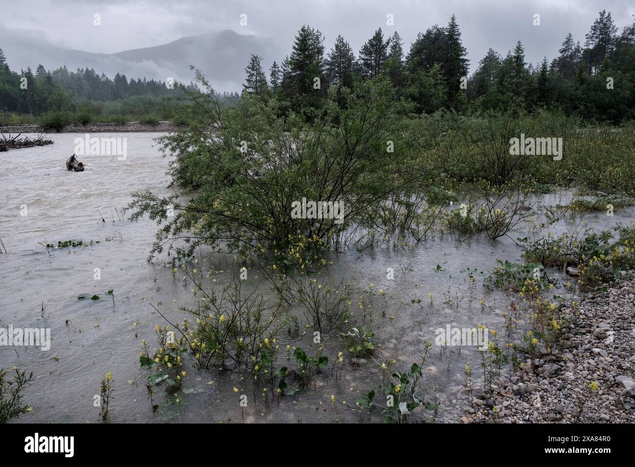 Flood, continuous rain, river, rain, flooding, Upper Bavaria, force of ...