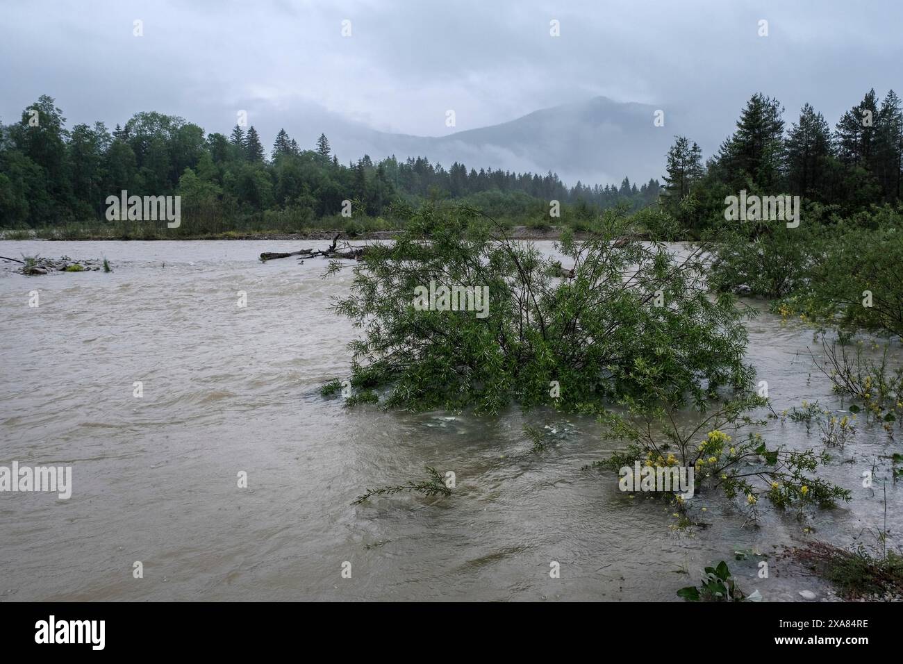 Flood, continuous rain, river, rain, flooding, Upper Bavaria, force of ...