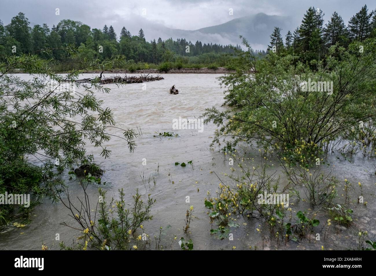 Flood, continuous rain, river, rain, flooding, Upper Bavaria, force of ...