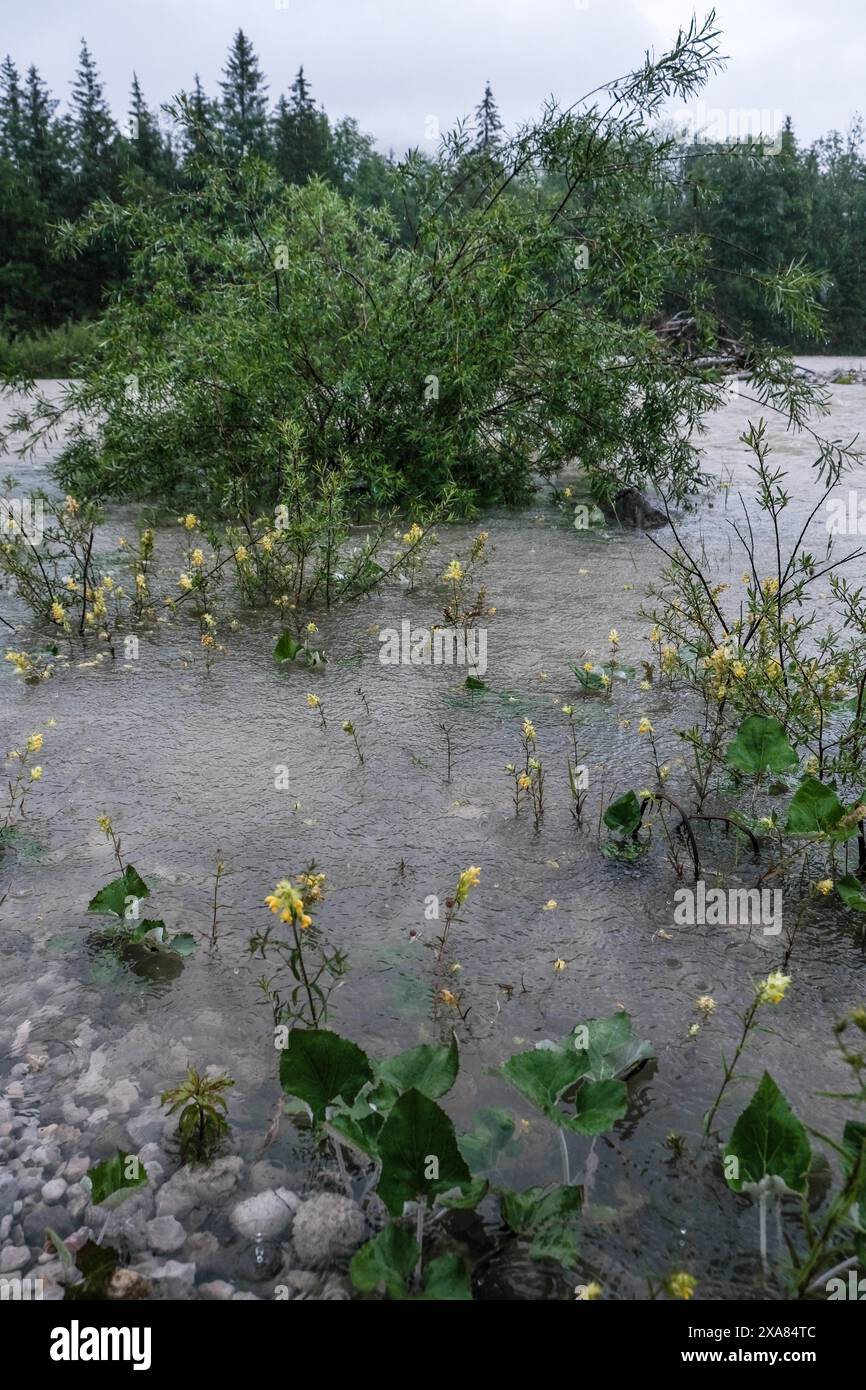 Flood, continuous rain, river, rain, flooding, Upper Bavaria, force of ...